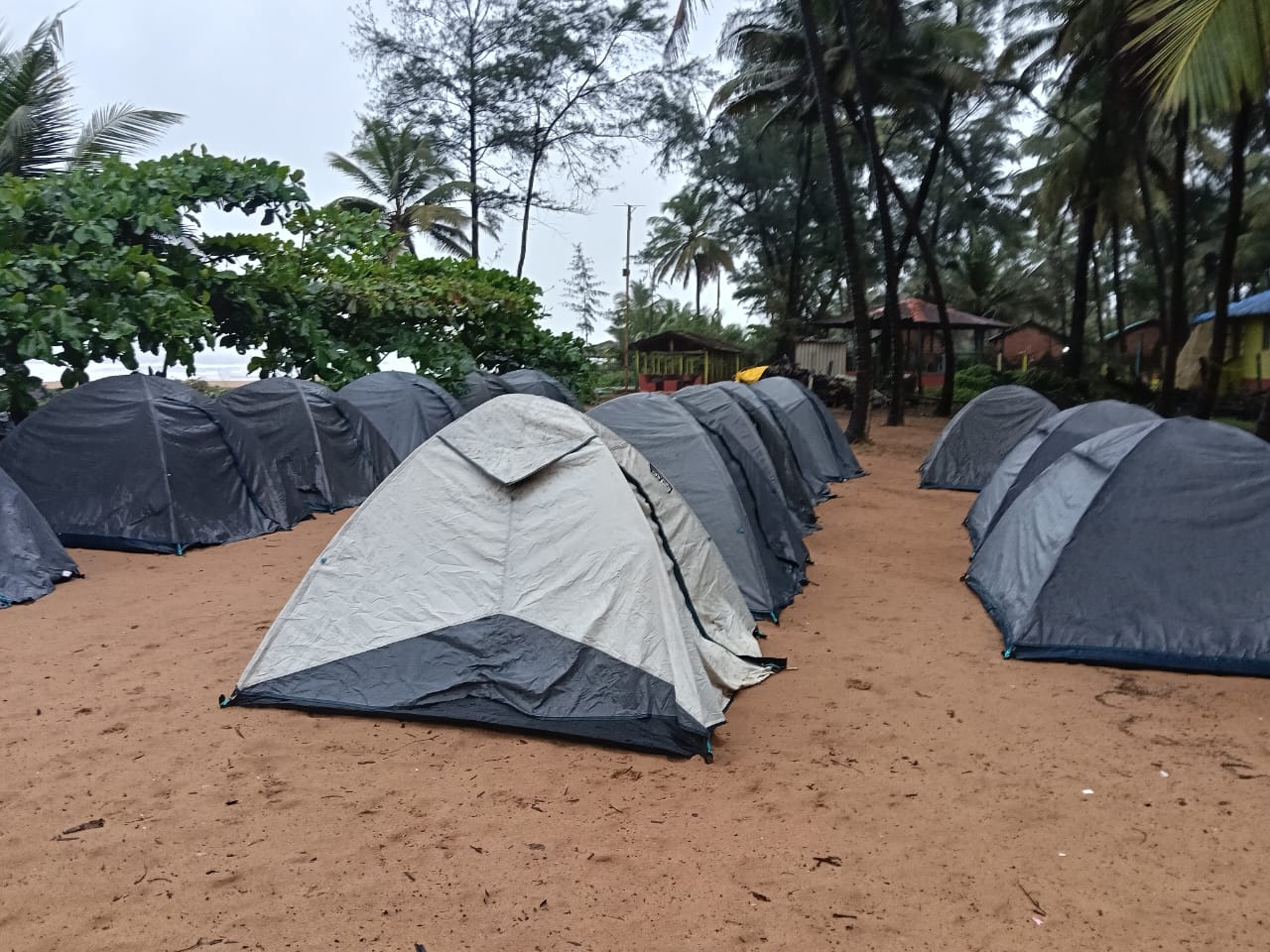 COCO BEACH FRONT STAY Hotel Gokarna - Reviews, Photos & Offer
