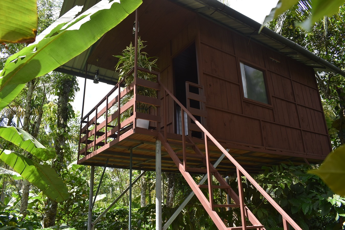 Lo Adoro Tree Hut Tourist Homestays 𝗕𝗢𝗢𝗞 Wayanad Homestay