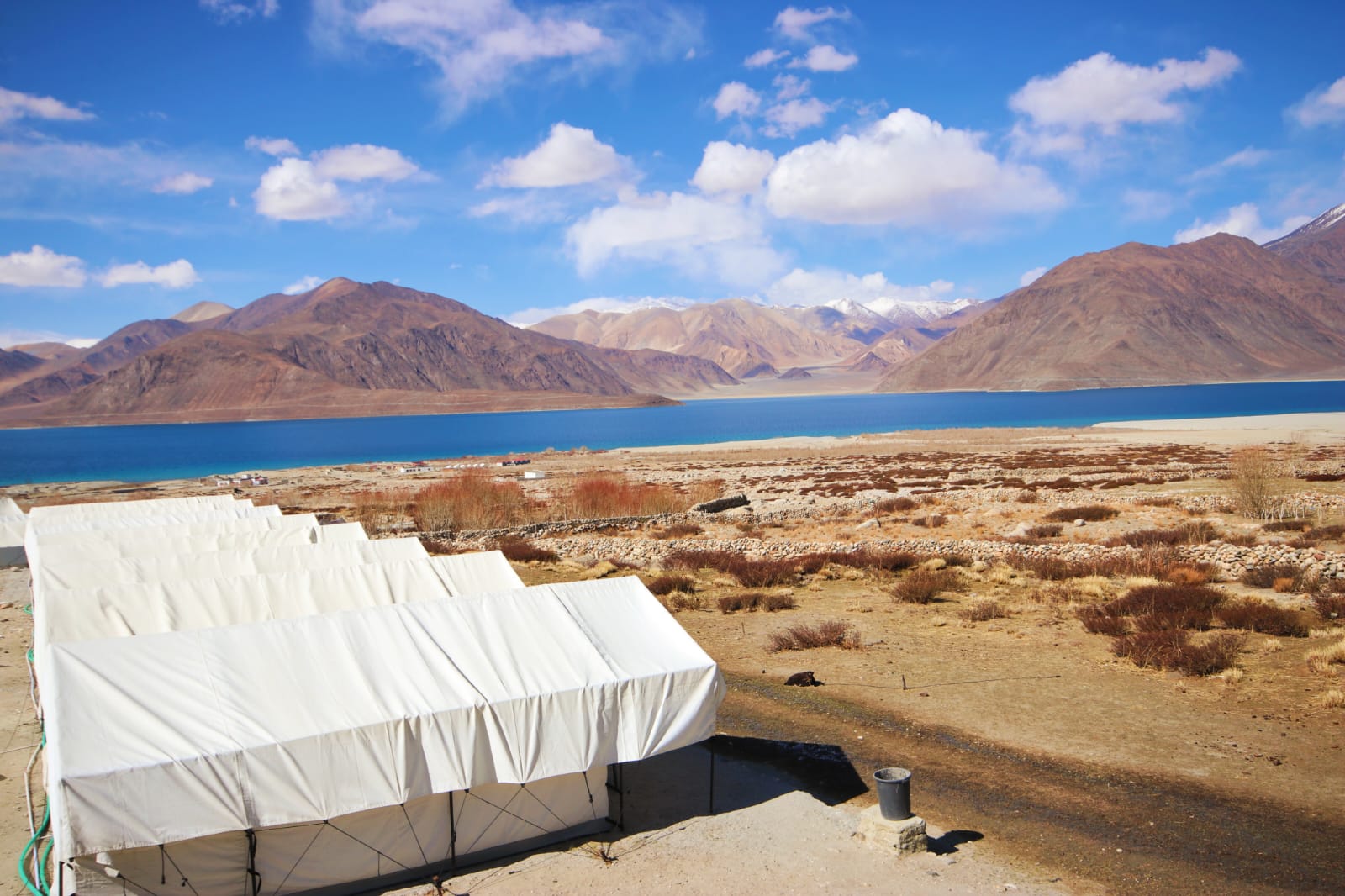 Camp Redstart Pangong 𝗕𝗢𝗢𝗞 Pangong Camp