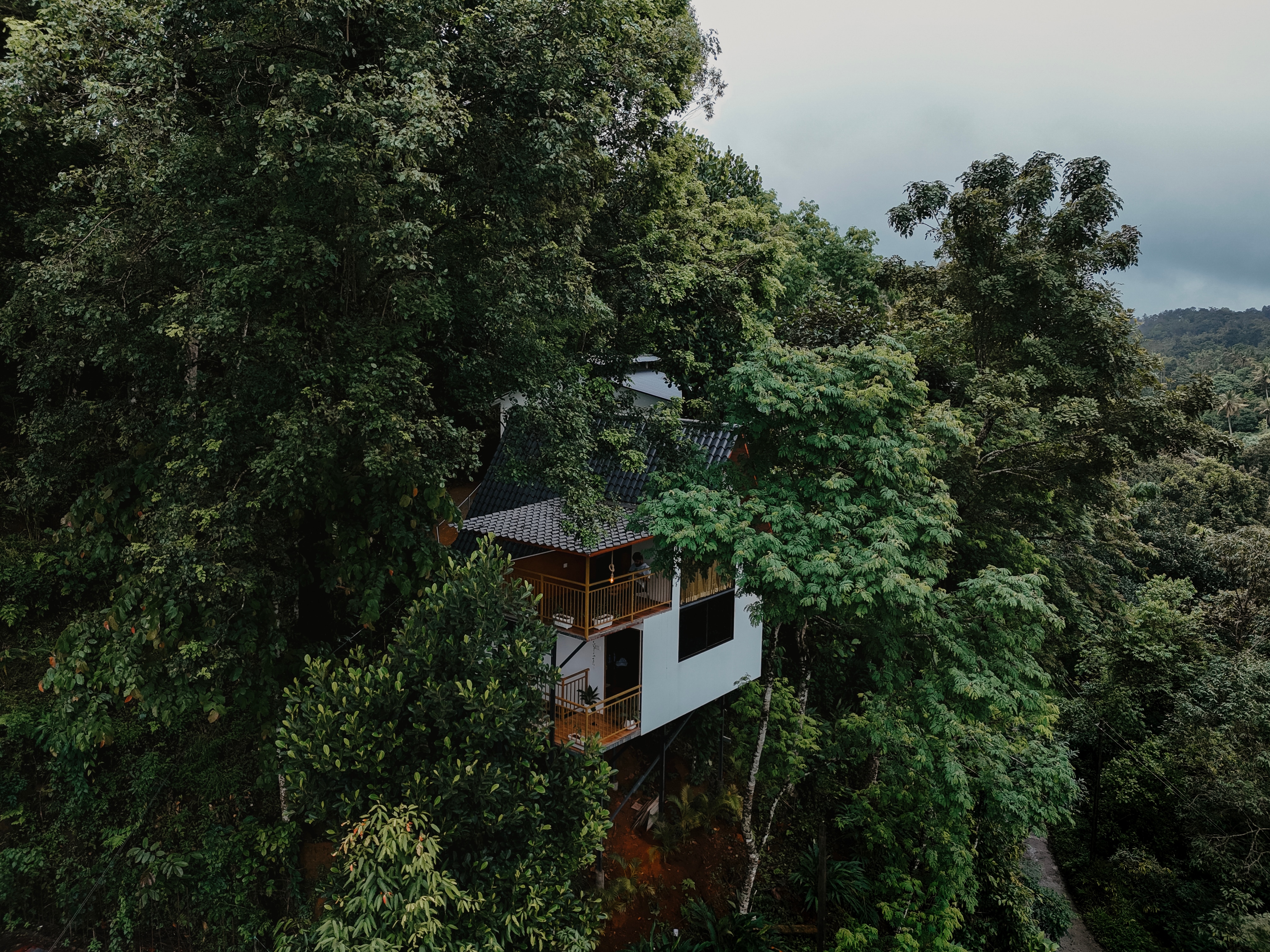 Bestinn Leisure Wild Stories Munnar 𝗕𝗢𝗢𝗞 Munnar Villa