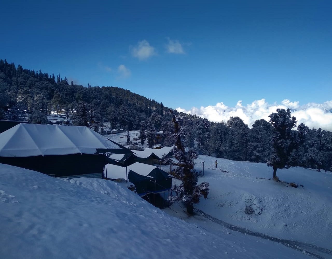 Camping at Serene Chopta 𝗕𝗢𝗢𝗞 Chopta Camp