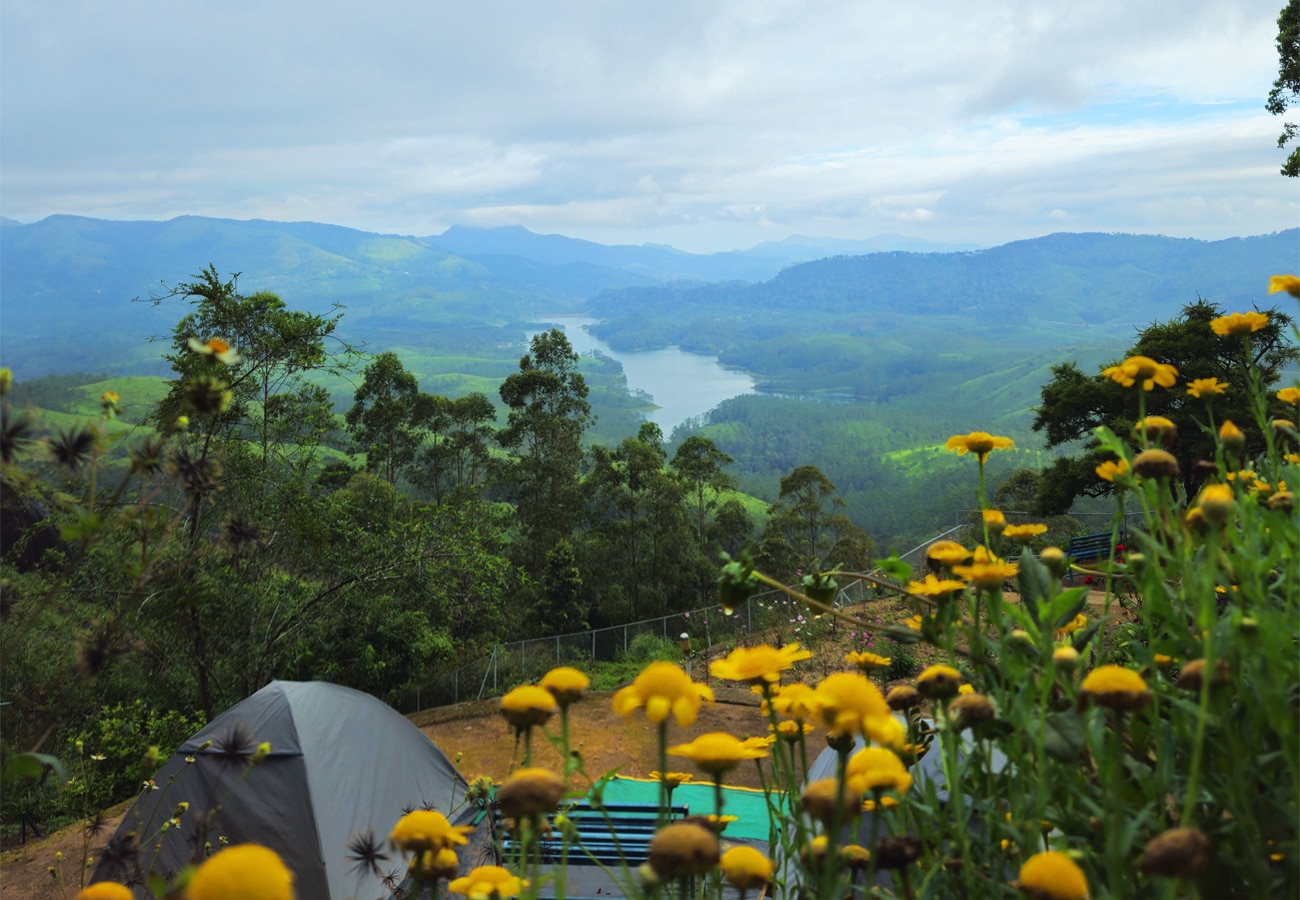 Campper Campwoody 𝗕𝗢𝗢𝗞 Munnar Camp