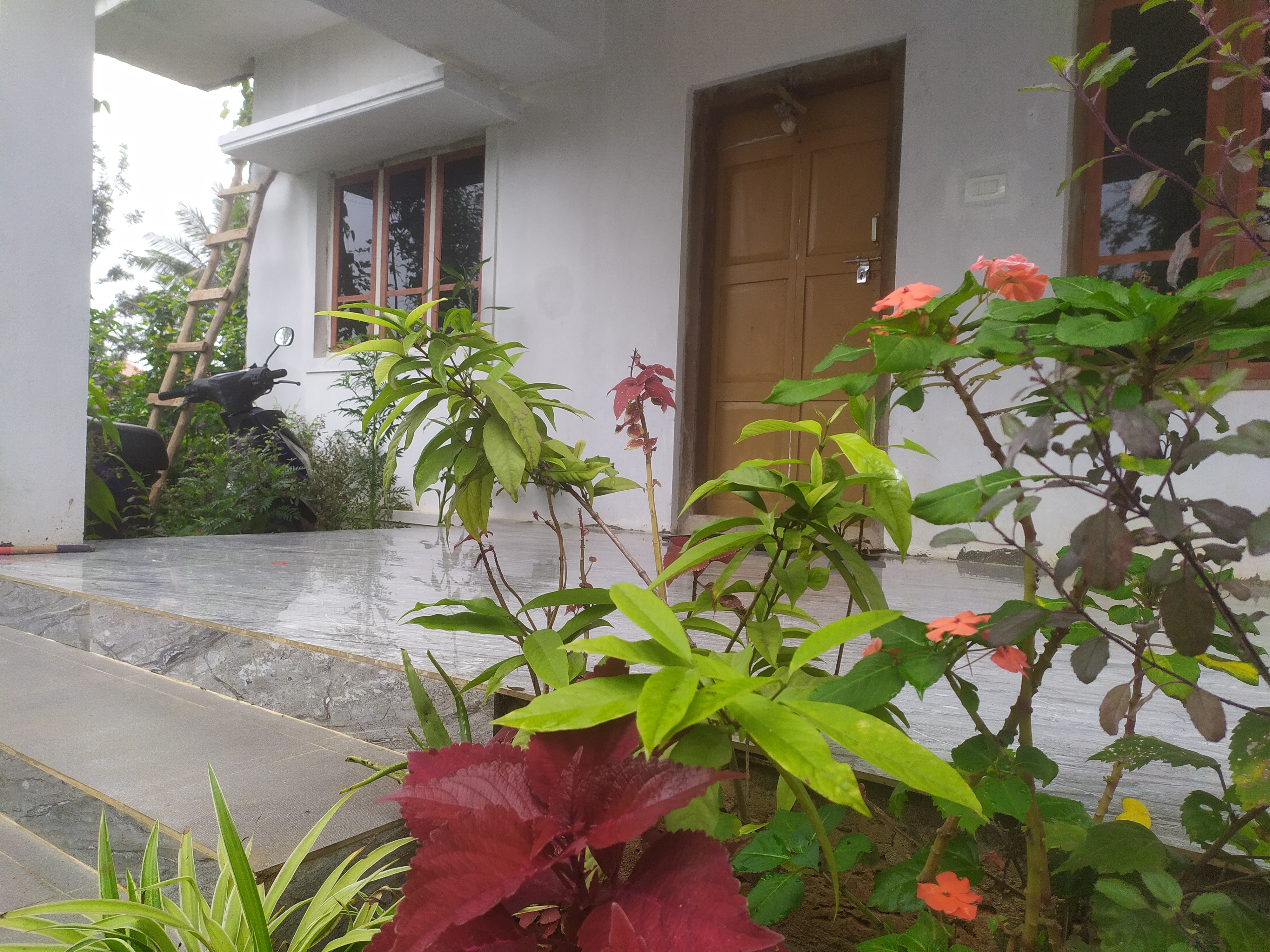 Coorg lamp home stay 𝗕𝗢𝗢𝗞 Coorg Homestay