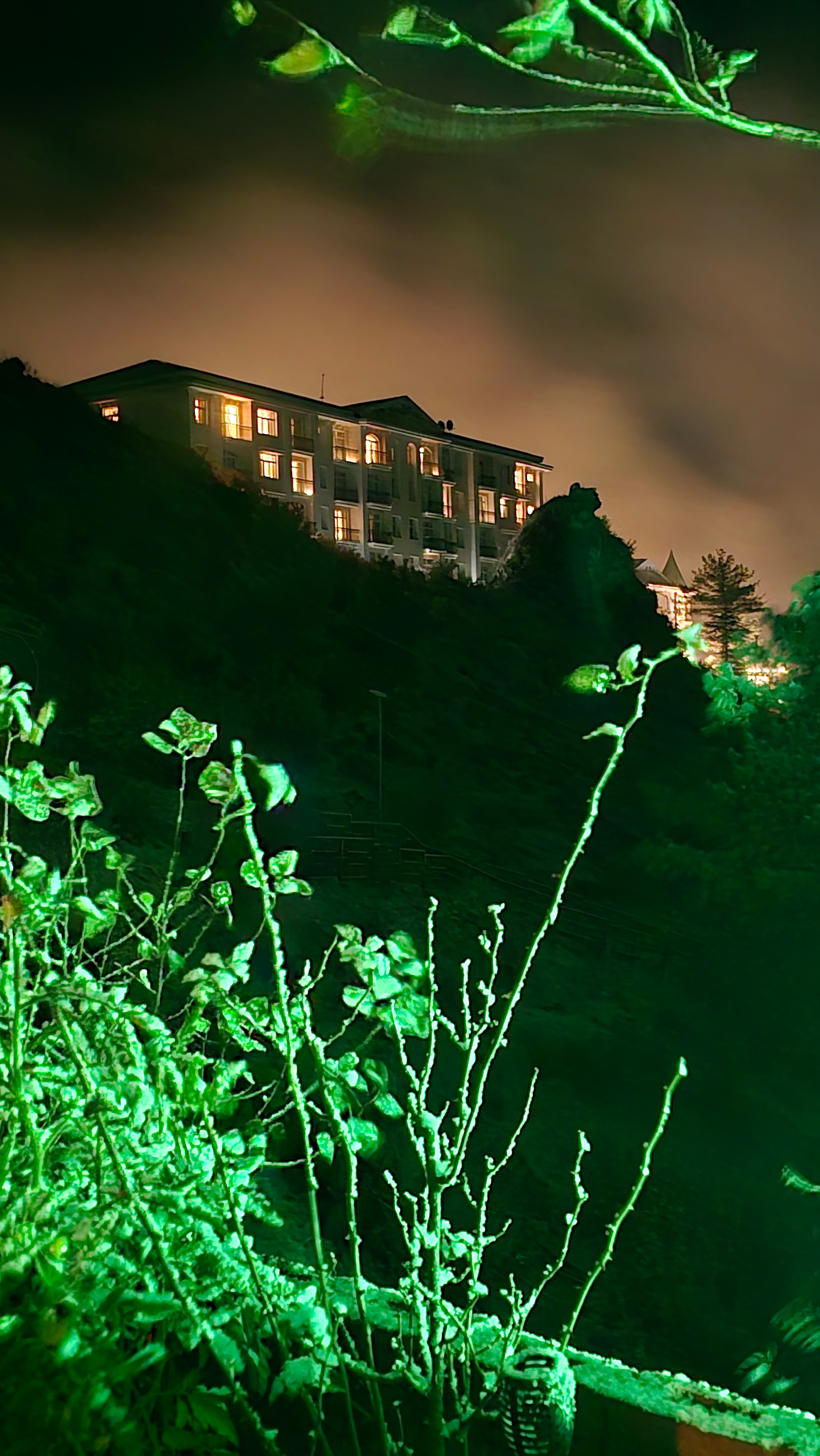 Devdhar Valley View Heightz 𝗕𝗢𝗢𝗞 Mashobra Homestay