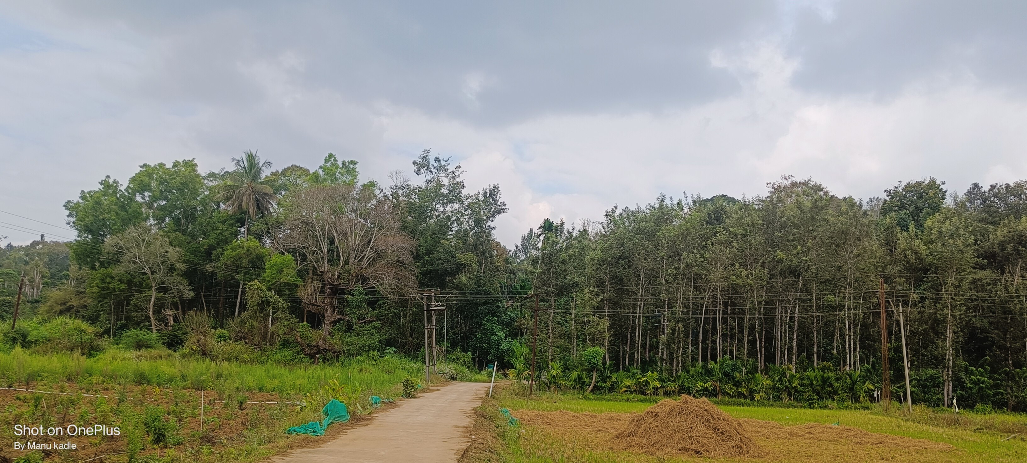 Coorg coffee Bunch 𝗕𝗢𝗢𝗞 Coorg Homestay