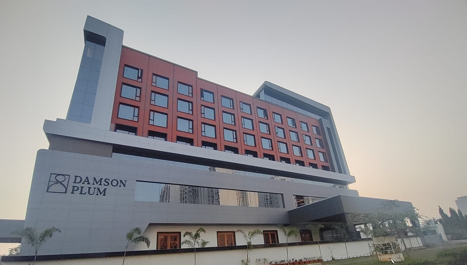 Damson Plum Lucknow