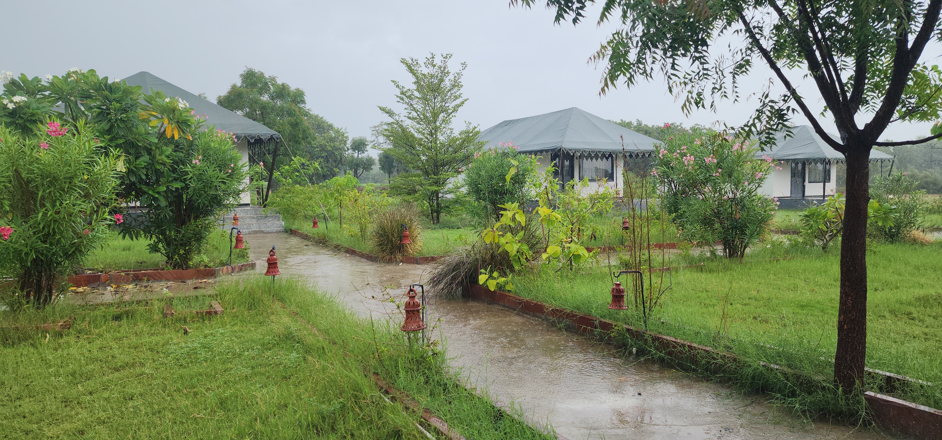 Photos of Leopard's Paradise Resort Jawai by Chundavillas - Luxury Camp ...