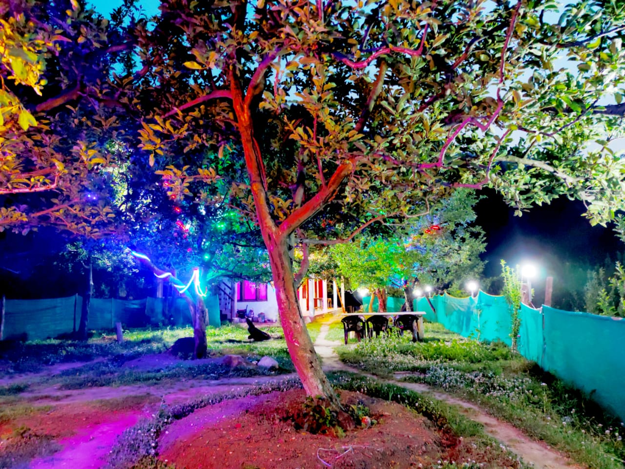 Village & Wild Cafe 𝗕𝗢𝗢𝗞 Kullu Homestay