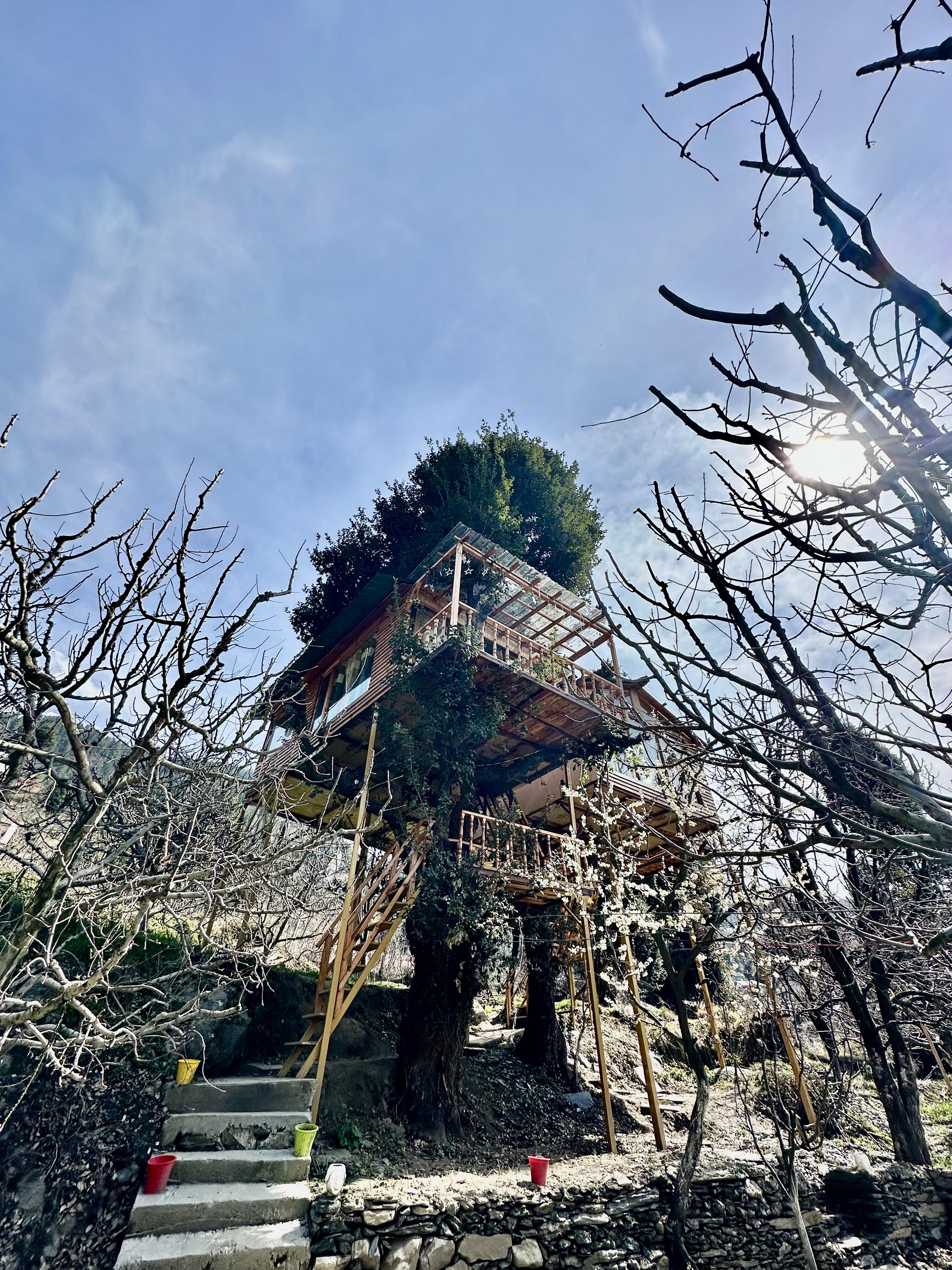 Address of Royal Himalayan Tree House - Tree house in Kasol