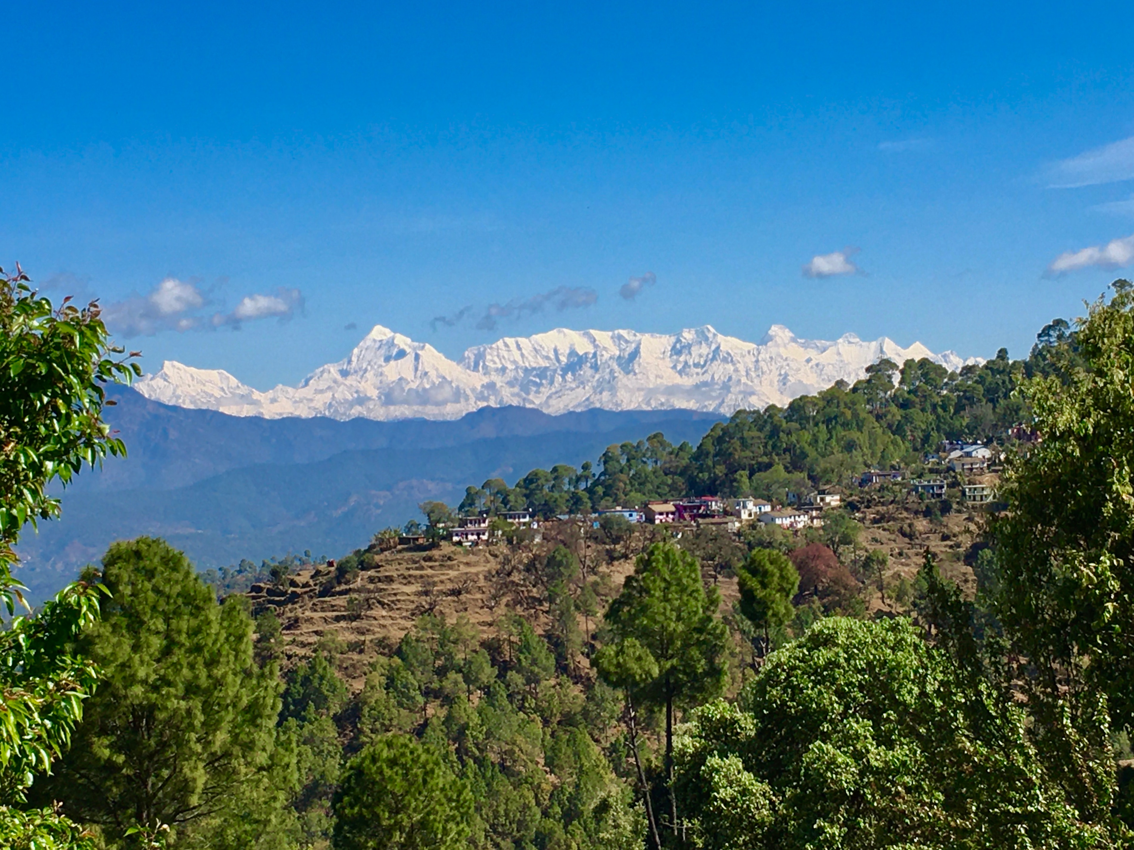Himalaya View Homestay Ranikhet - Reviews, Photos & Offer