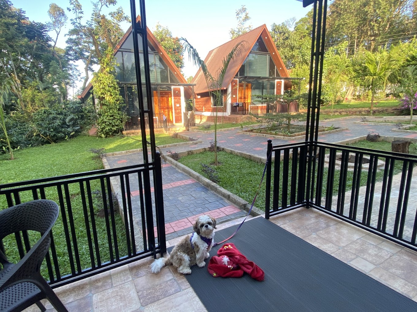 Wisteria Coorg Nature Stay Cottage Coorg - Reviews, Photos & Offer