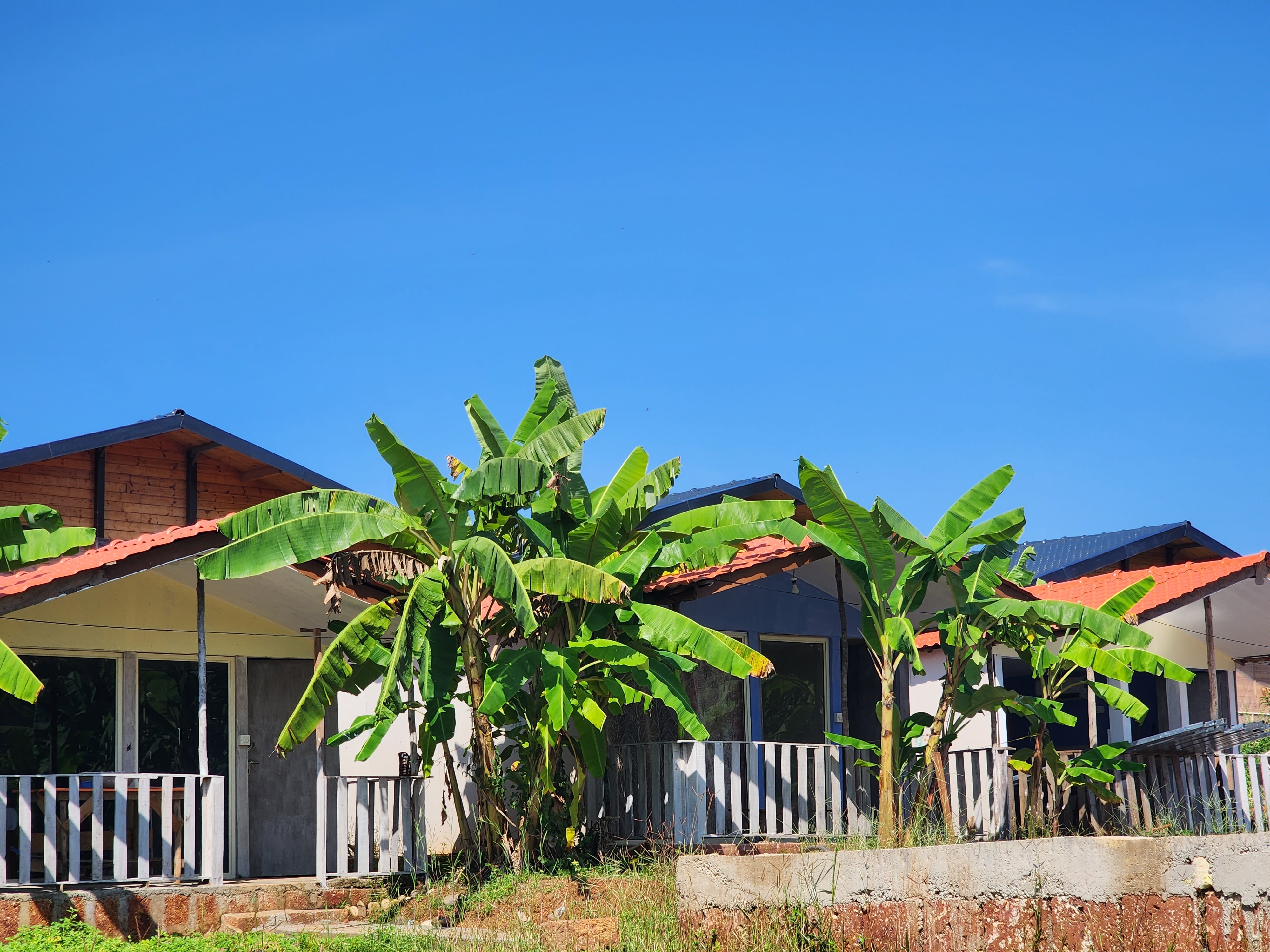The Om Resort 𝗕𝗢𝗢𝗞 Goa Hostel