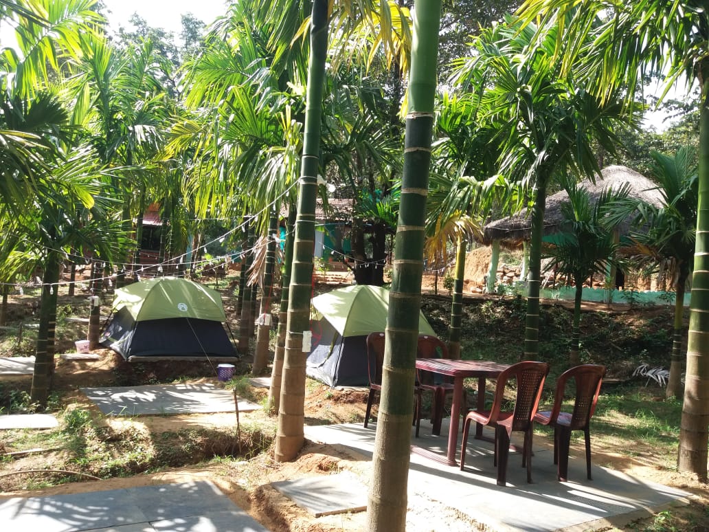 Jungle Joy Homestay 𝗕𝗢𝗢𝗞 Dandeli Homestay