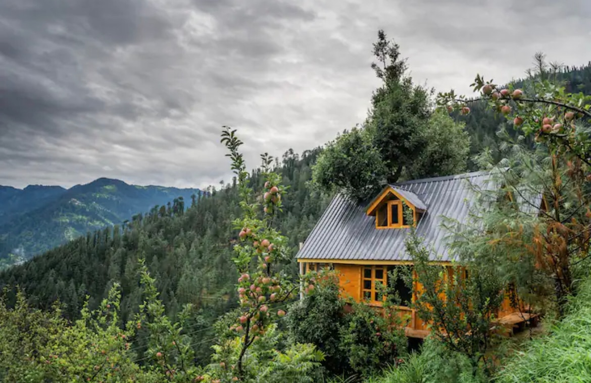 THE TREE HOUSE JIBHI,Swastika Aashiyana 𝗕𝗢𝗢𝗞 Jibhi Tree house