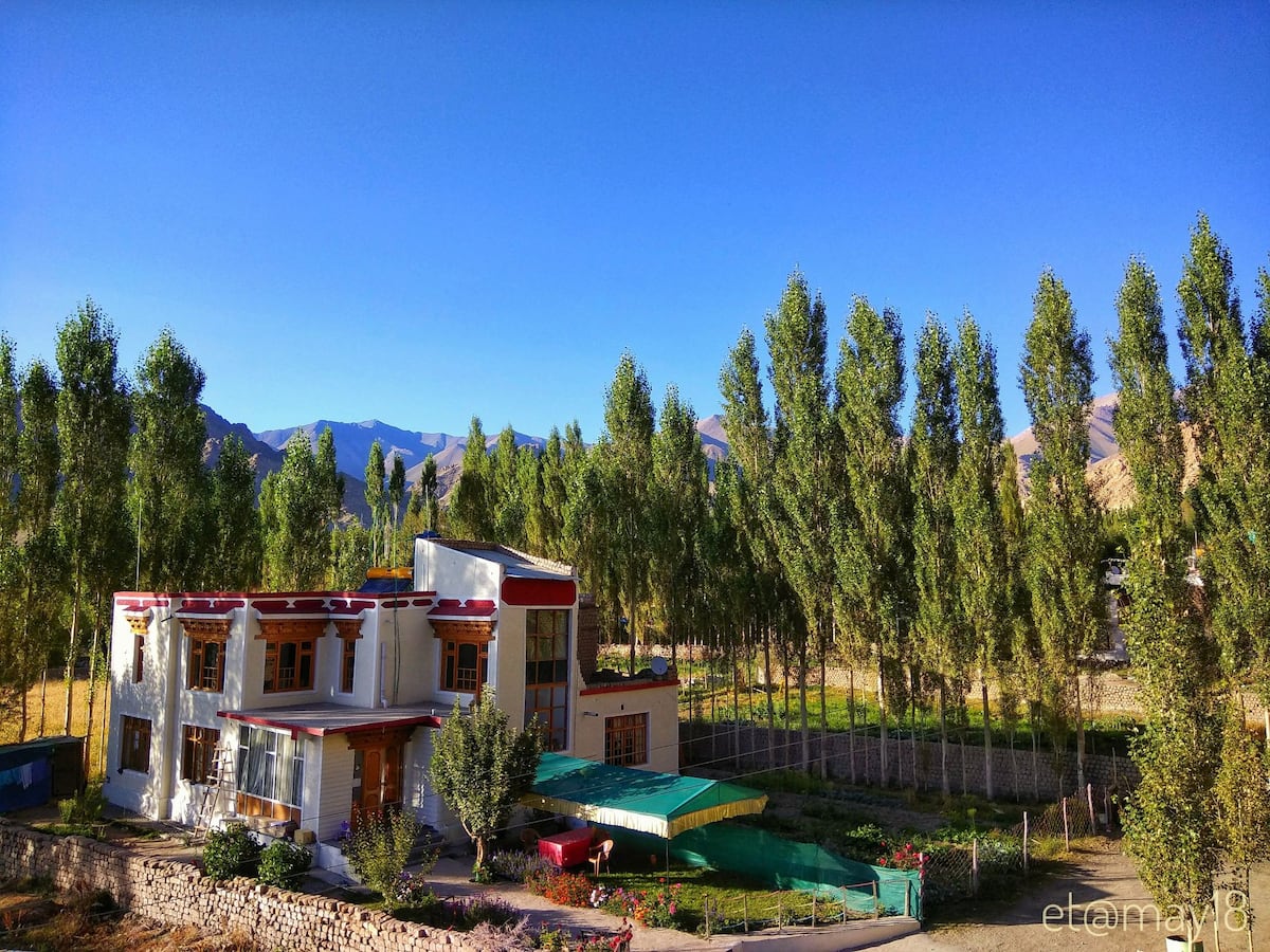 Address of 4 View Ladakh | 5 Mins walk from Leh Mall Road - BnB in Leh