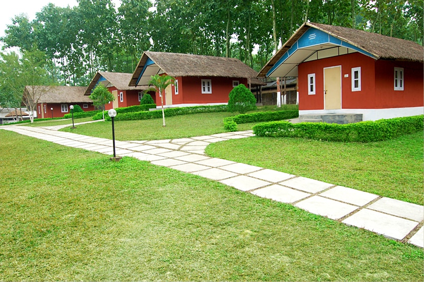 Reviews of Dhanshree Resort, Kaziranga,( Swimming pool Free Access ...