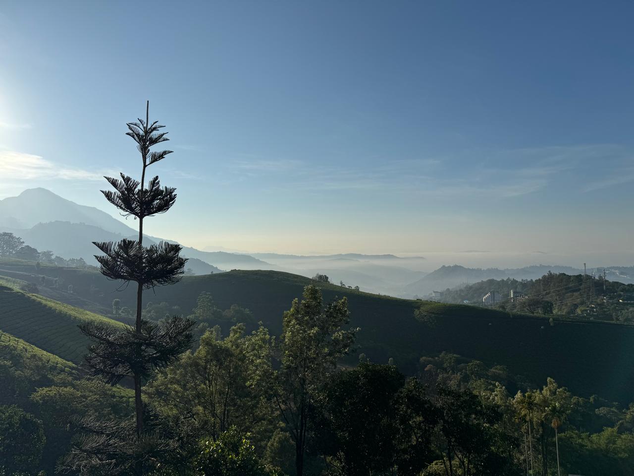 SKY BLUE 𝗕𝗢𝗢𝗞 Munnar Homestay
