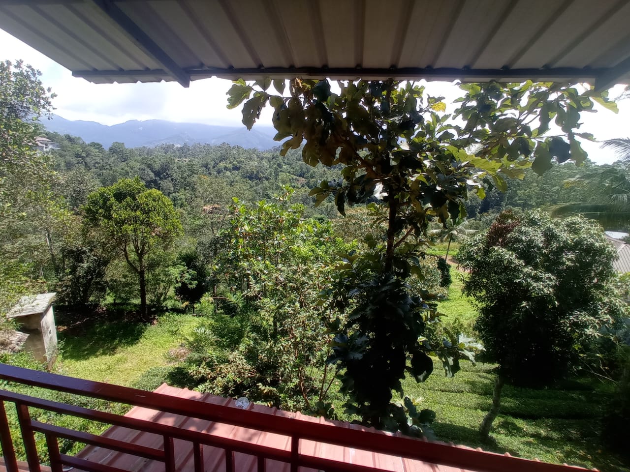 Monte Sereno 𝗕𝗢𝗢𝗞 Munnar Guest House