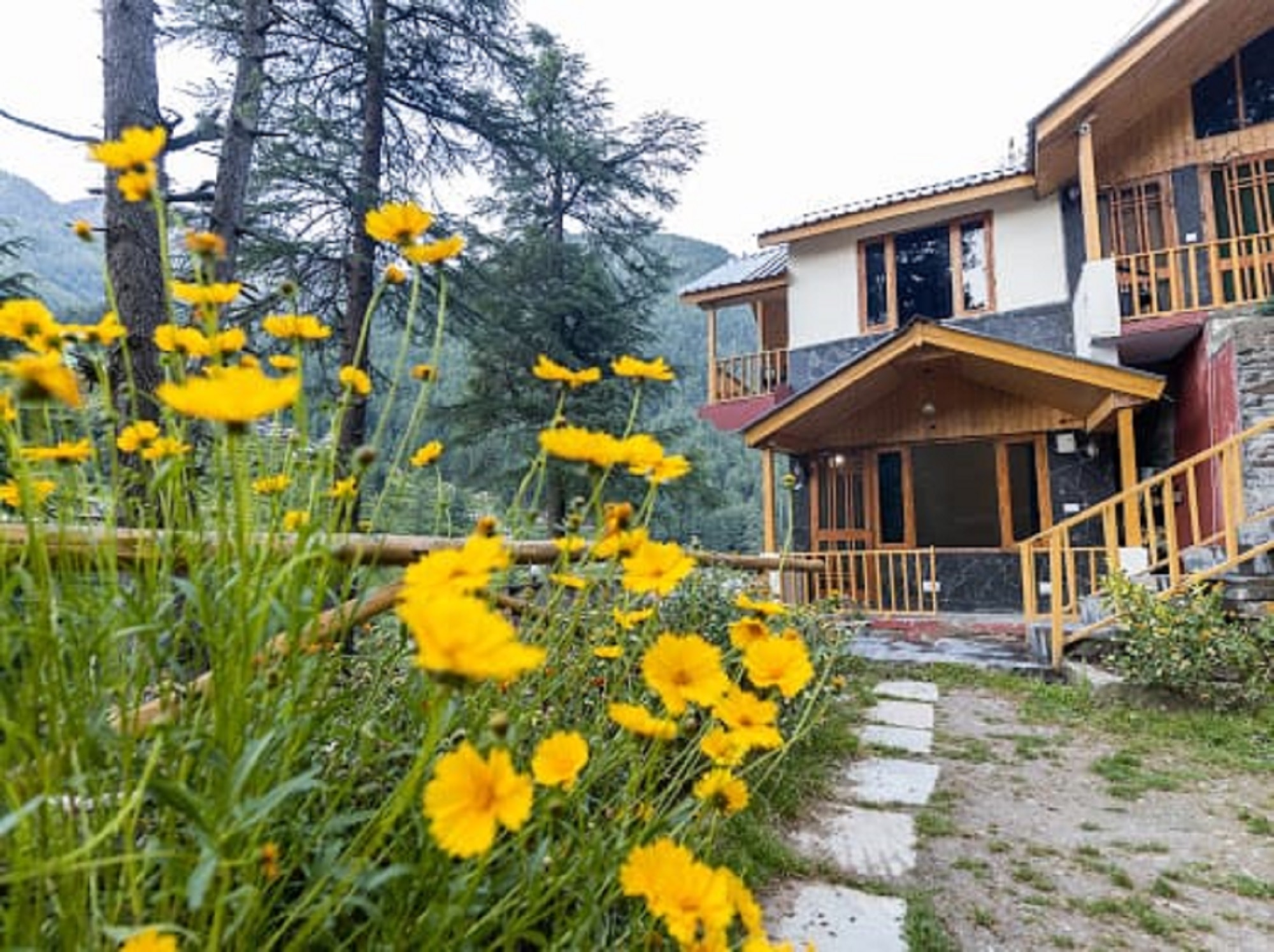 Majestic View X WANDERHOUSE Hotel Jibhi - Reviews, Photos & Offer