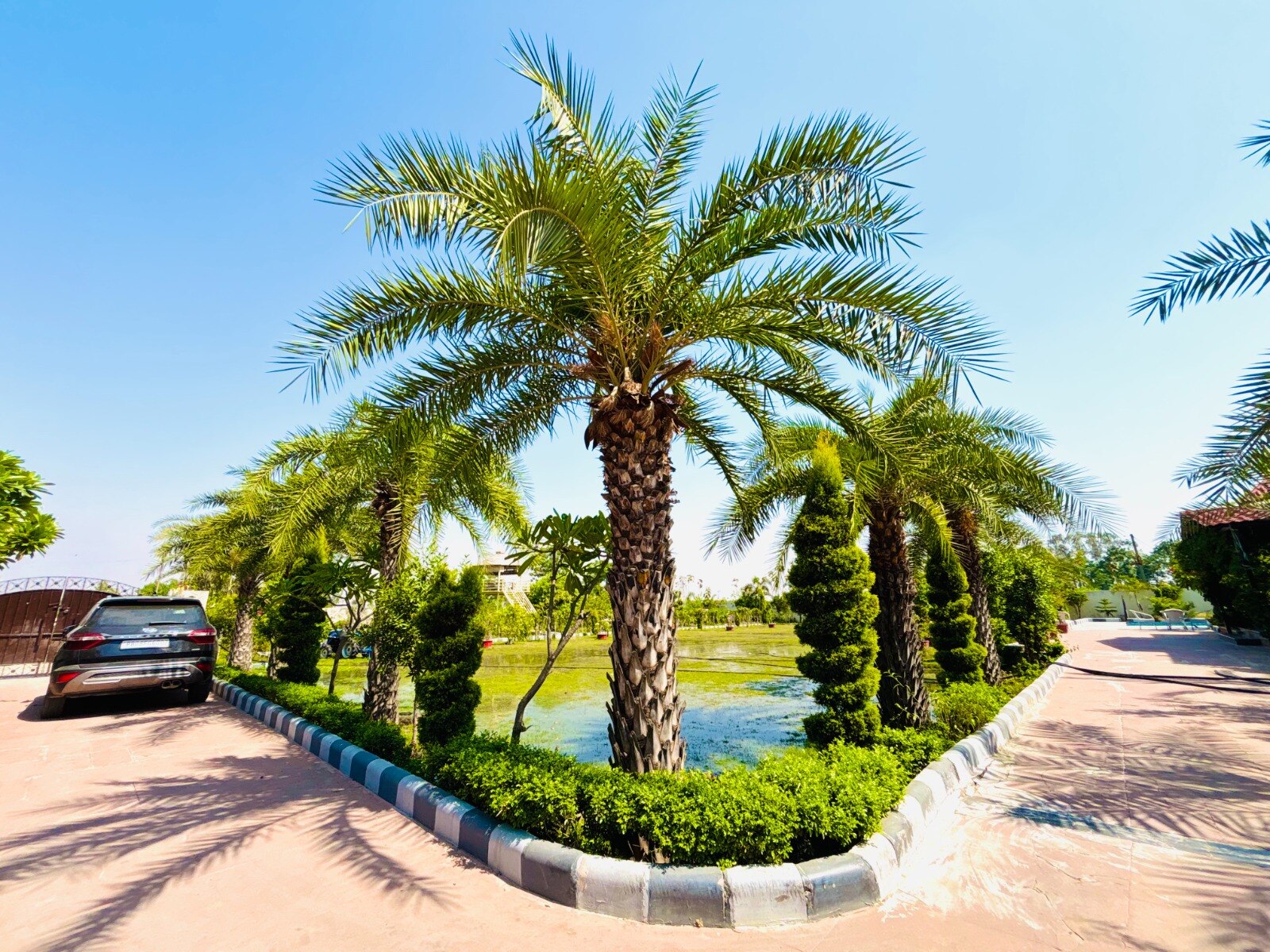 Marok Farm 𝗕𝗢𝗢𝗞 Jalandhar Villa