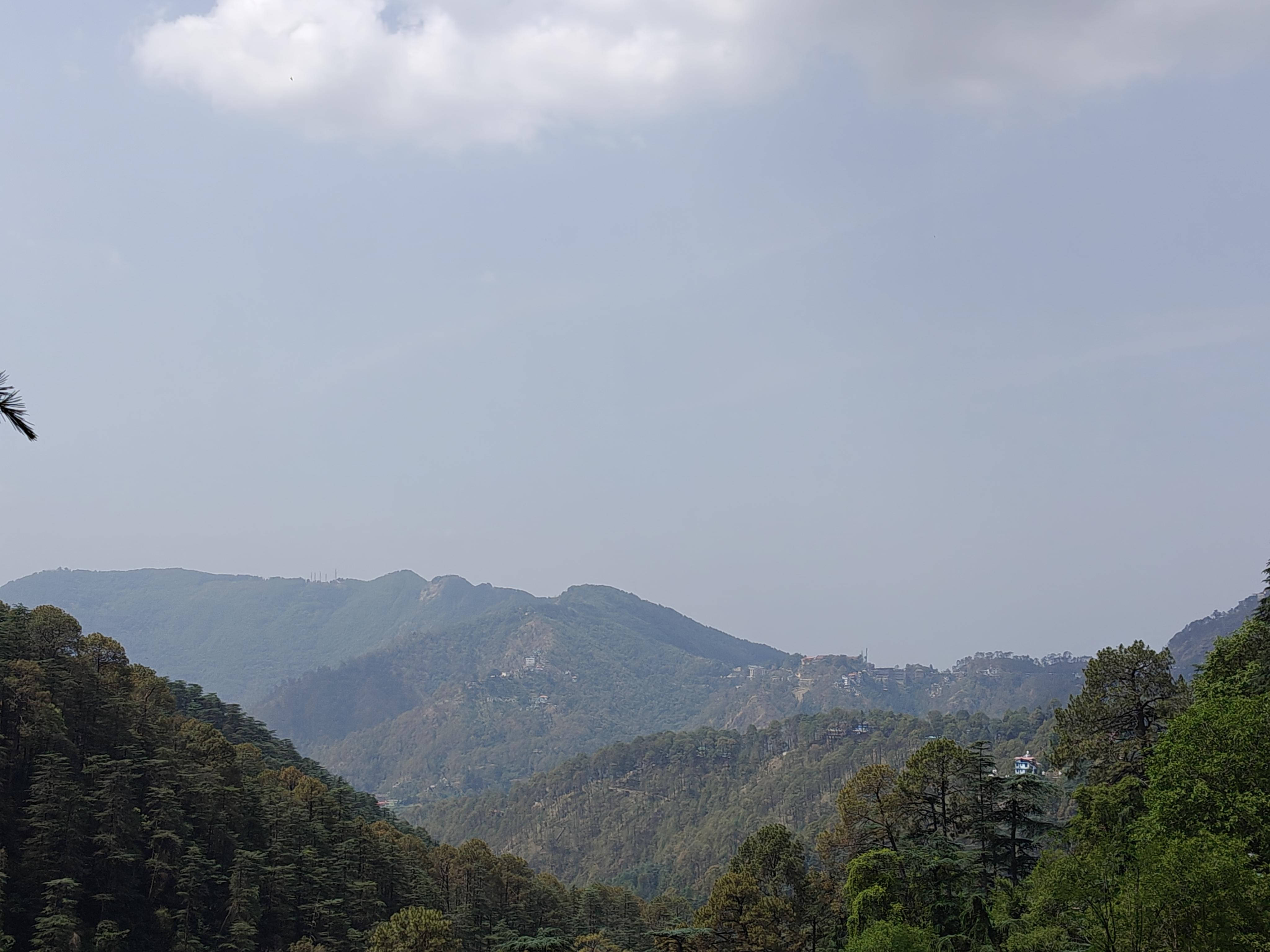 Tree View 𝗕𝗢𝗢𝗞 Shimla Homestay