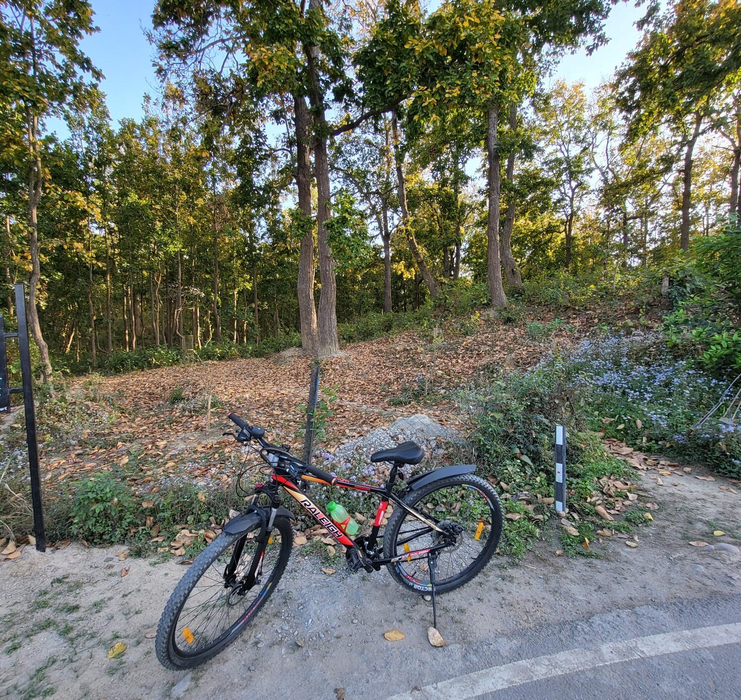 Deepanshi Sharma 𝗕𝗢𝗢𝗞 Dehradun Homestay