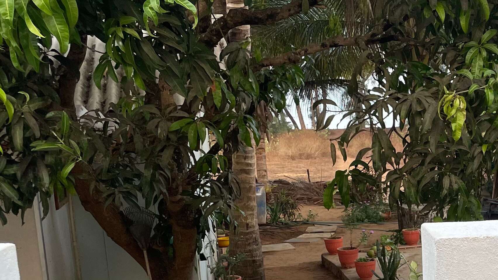 The Villa Mirage on Galgibagh Goa - Reviews, Photos & Offer