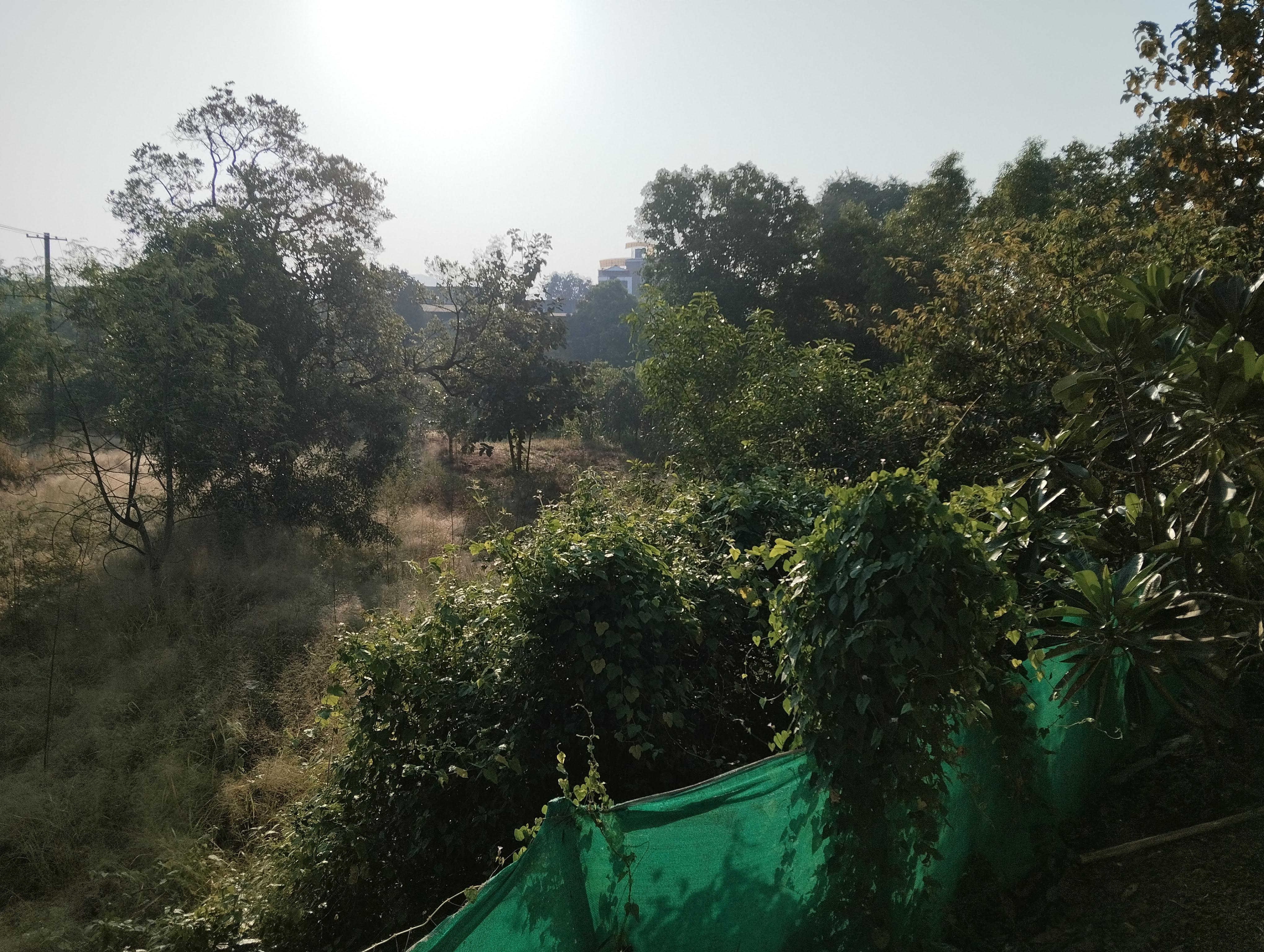 Quietude your peaceful escape into nature 𝗕𝗢𝗢𝗞 Karjat Villa