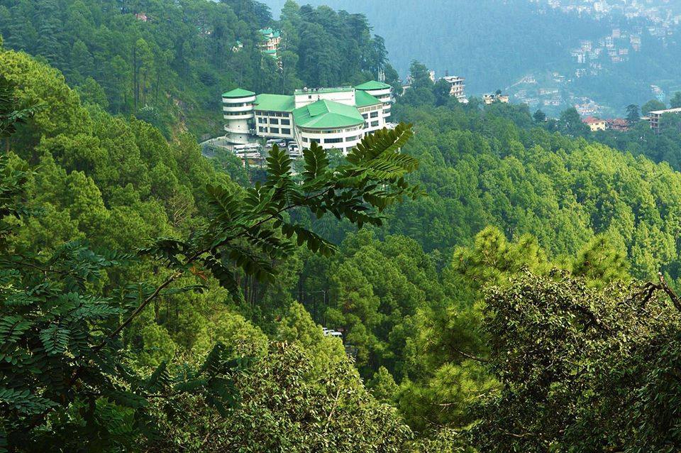 Hotel CK International by Pax Hotels Shimla - Reviews, Photos & Offer