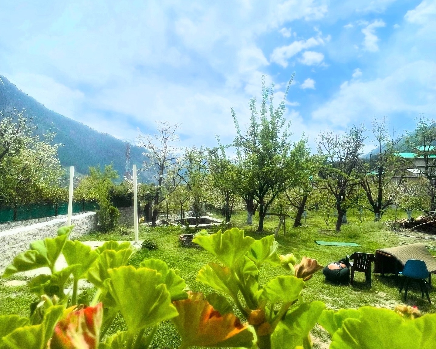 Shehjaar 𝗕𝗢𝗢𝗞 Manali Homestay