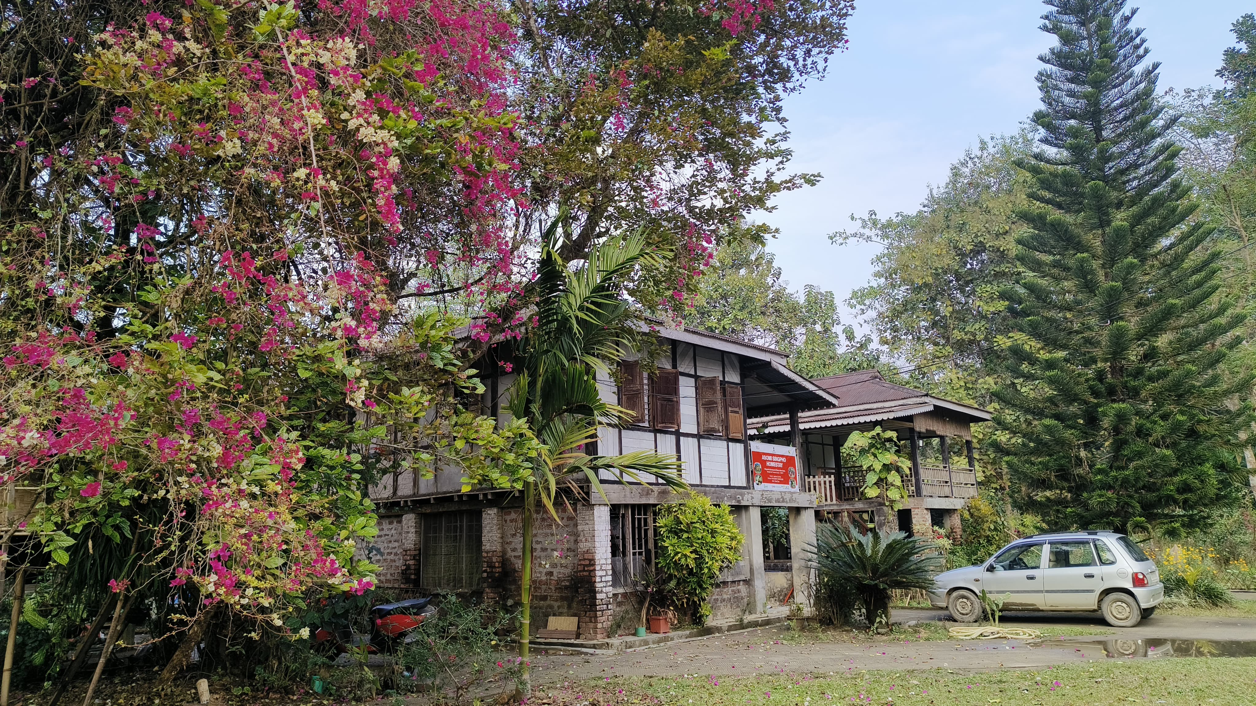 Asomi Singpho Homestay Tinsukia - Reviews, Photos & Offer