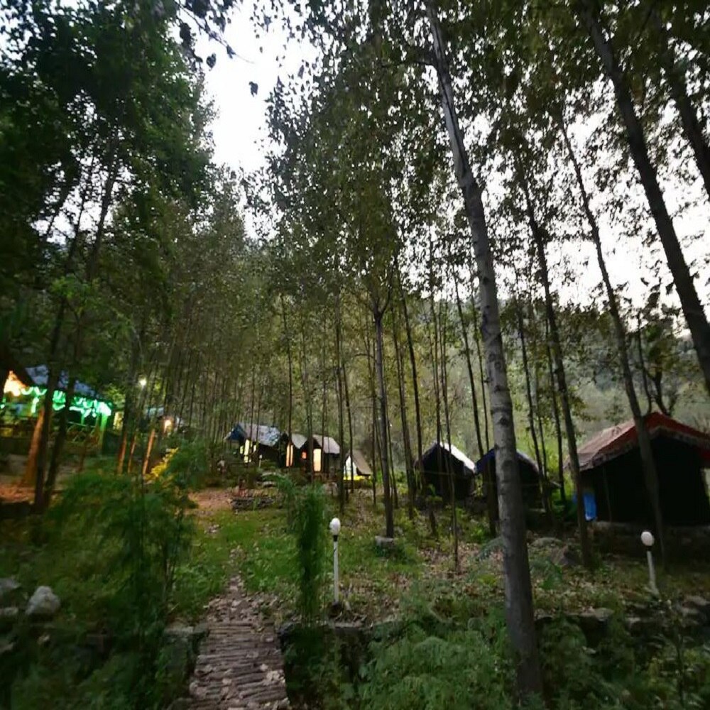 Riverside Forest Camping Gushaini - Reviews, Photos & Offer