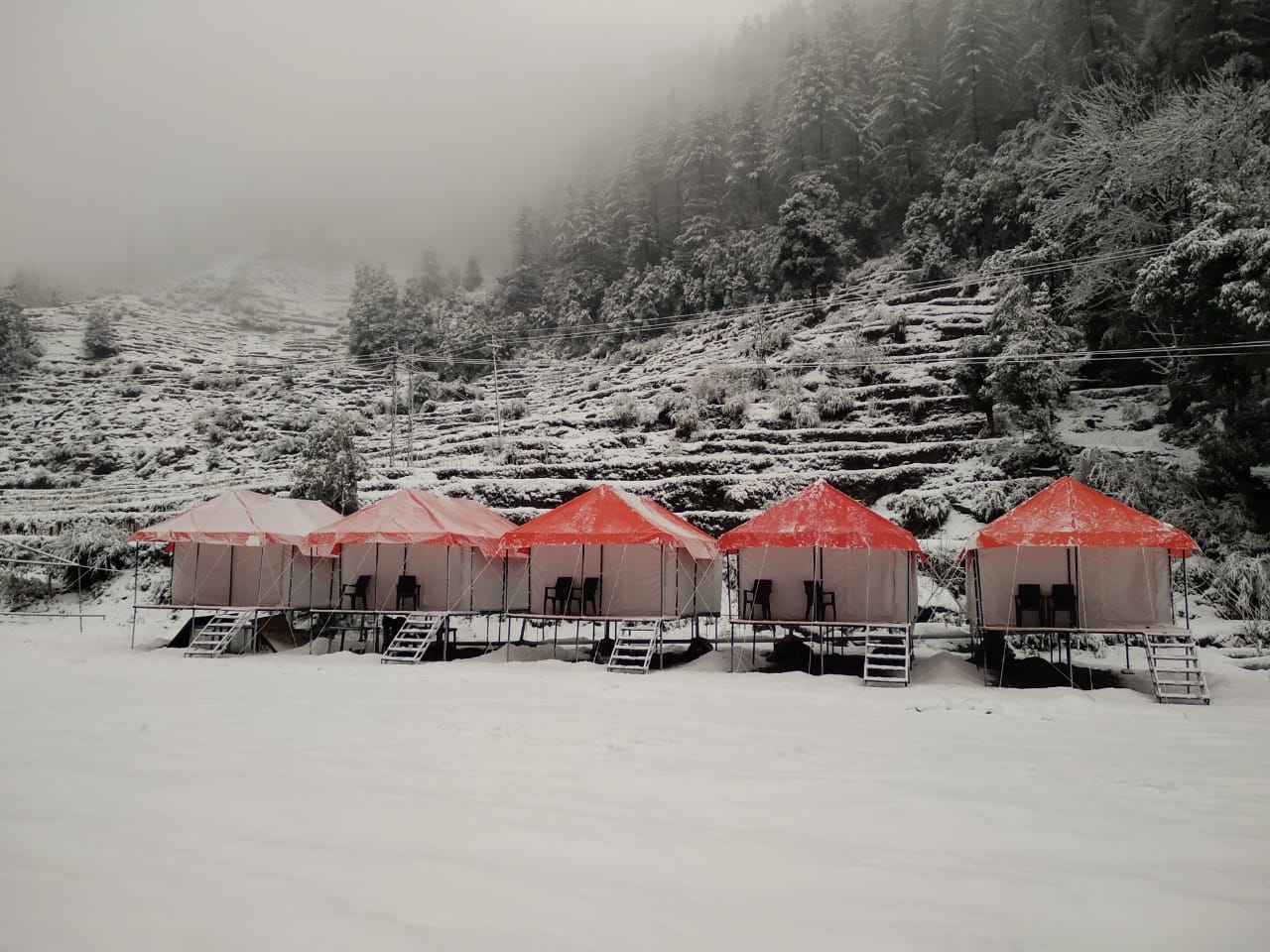 Day2Day Camping 𝗕𝗢𝗢𝗞 Barot Camp
