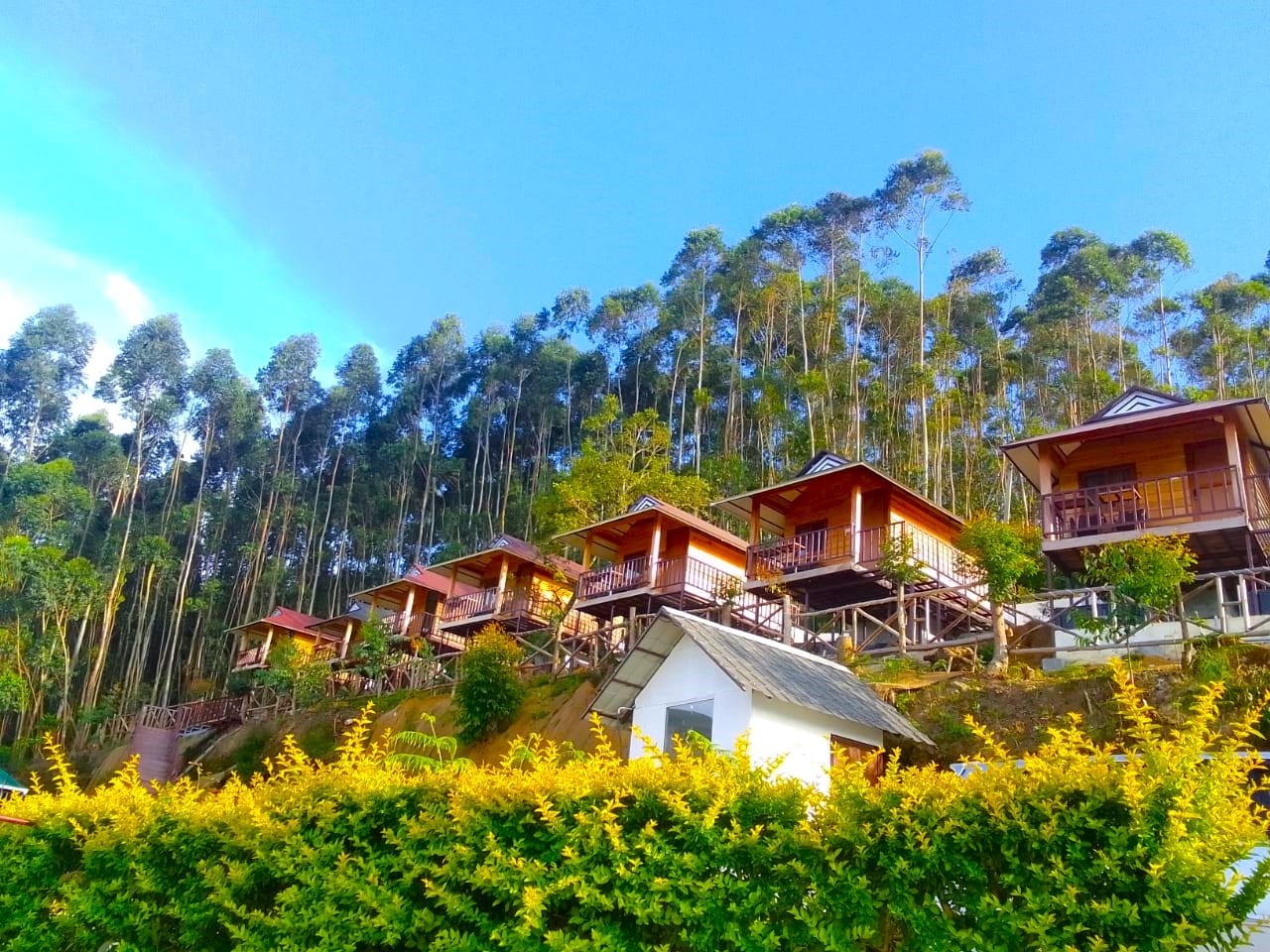 cheeni hills resort kanthalloor Marayoor - Reviews, Photos & Offer