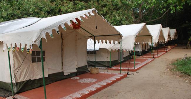 Nature Camp Konark 𝗕𝗢𝗢𝗞 Konark Camp