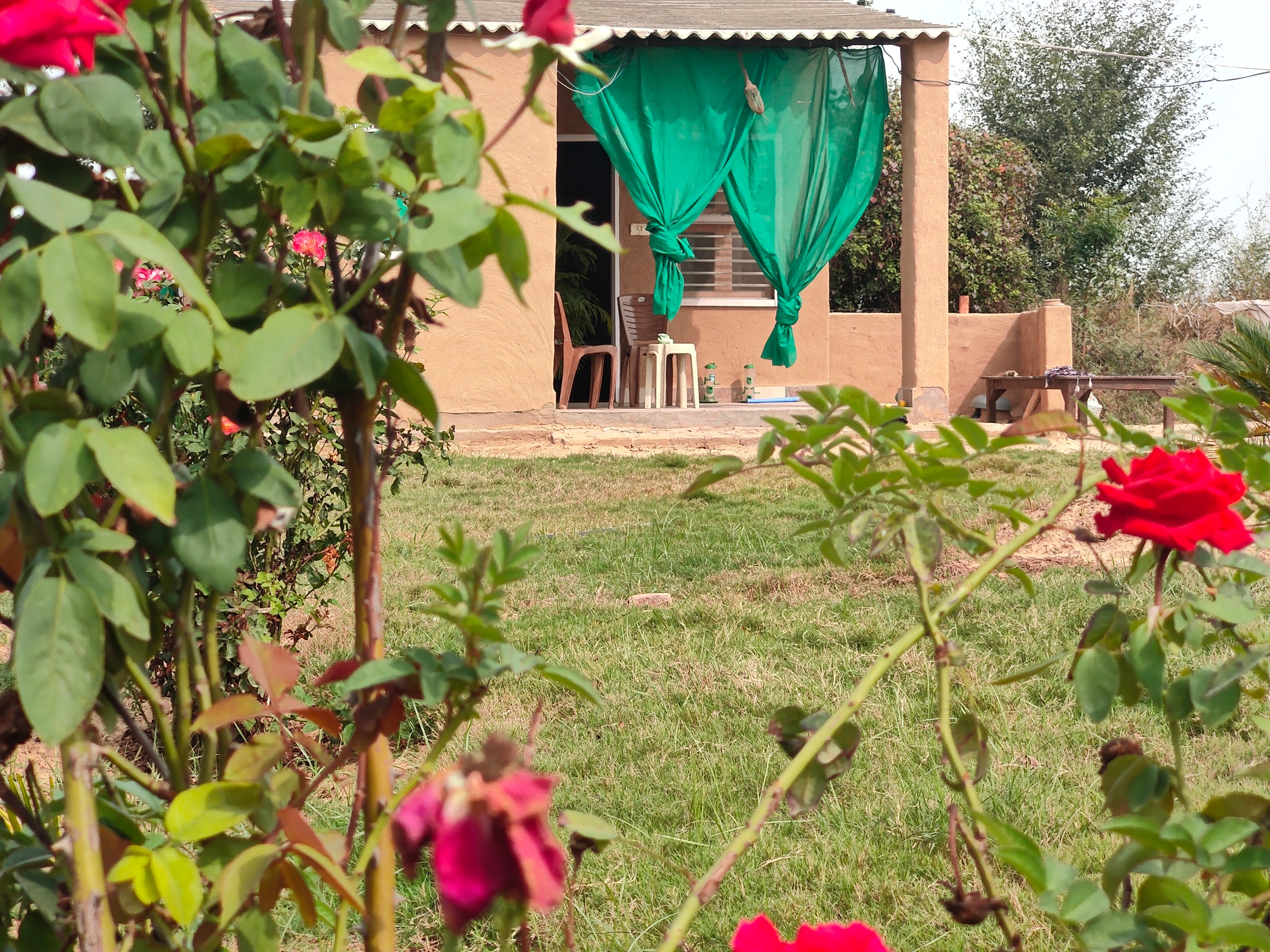 MS Farm 𝗕𝗢𝗢𝗞 Fatehabad Farm House