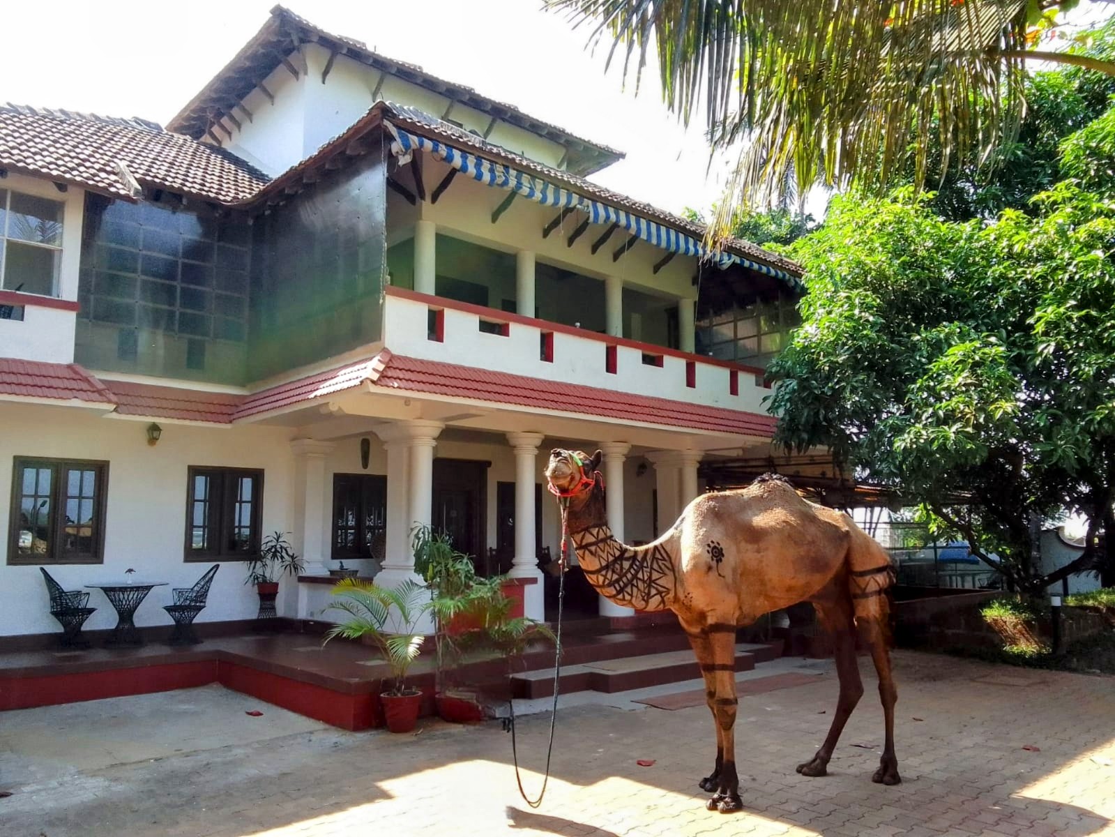 Mavalli Beach Heritage Home Homestay Murudeshwar - Reviews, Photos & Offer