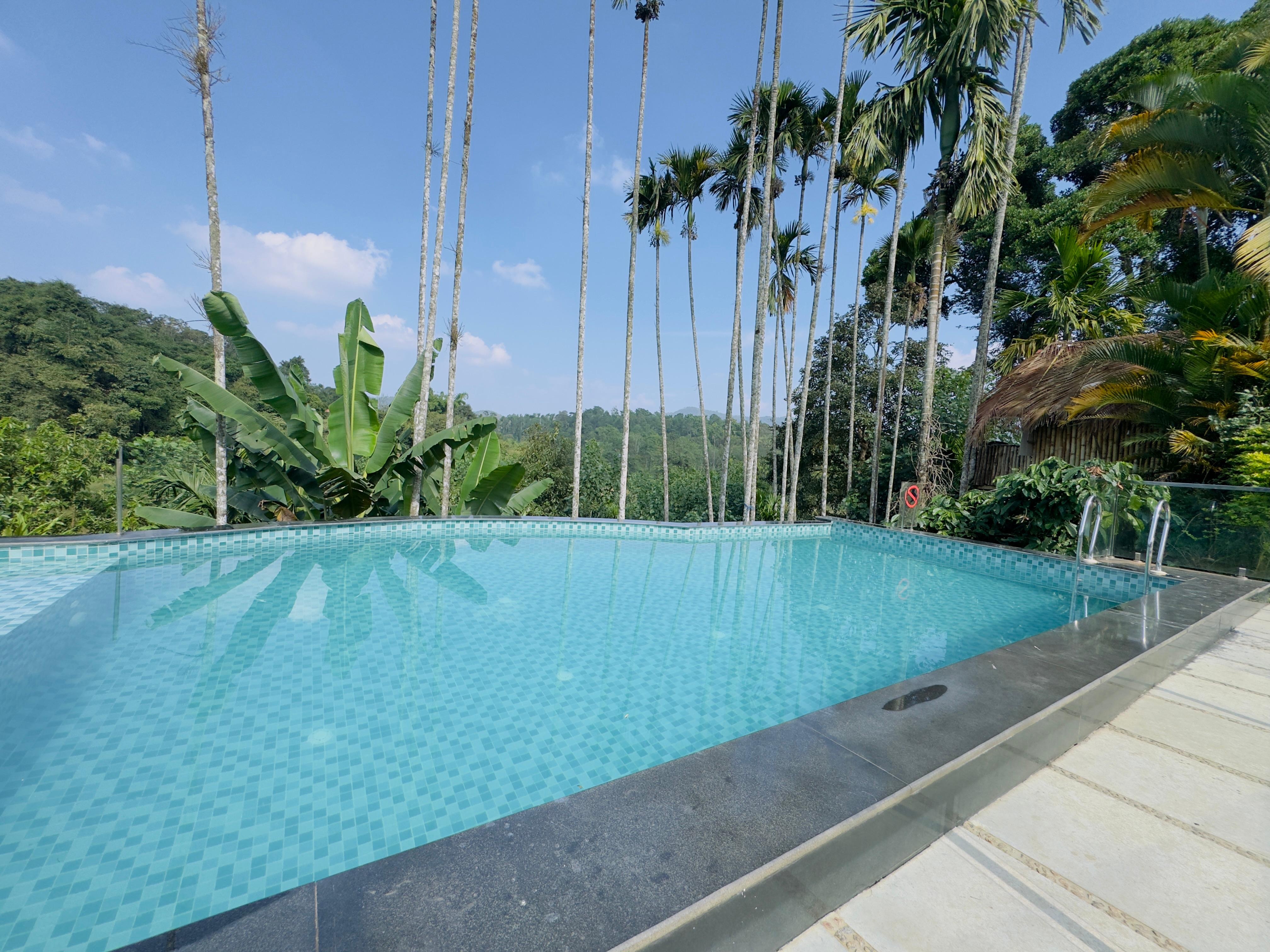 WhiteLily s Pool Retreat Kaggodlu Madikeri Coorg 𝗕𝗢𝗢𝗞 Coorg Homestay