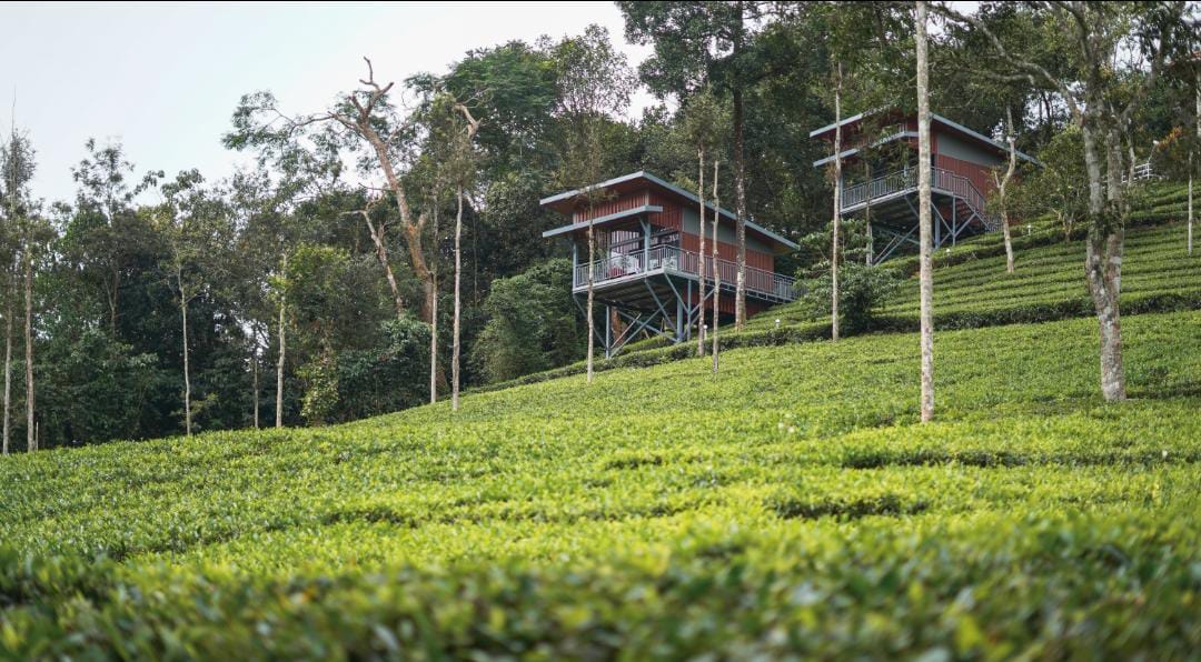 Vythiri Stream View | Cottages in Tea Valleys Wayanad - Reviews, Photos ...