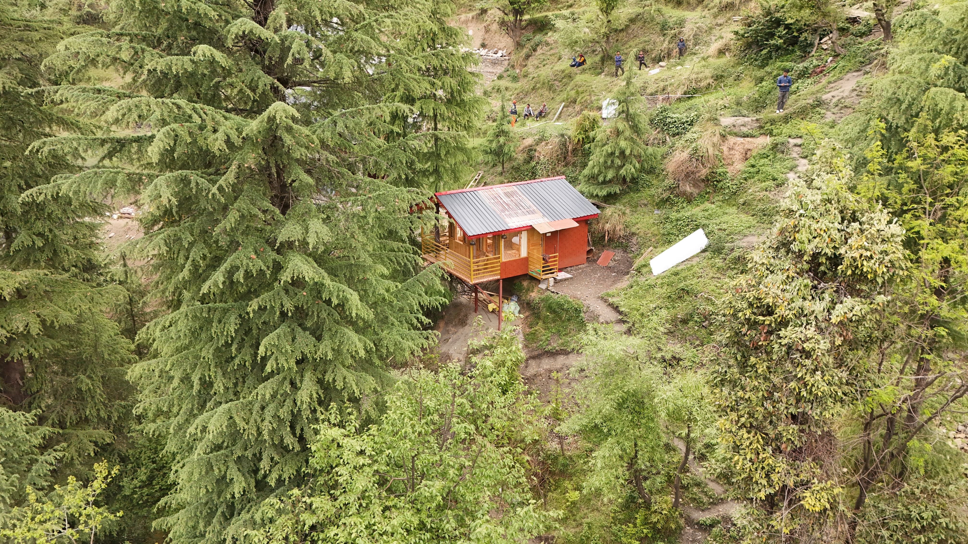 Tanbi Treehouse Tree house Jibhi - Reviews, Photos & Offer