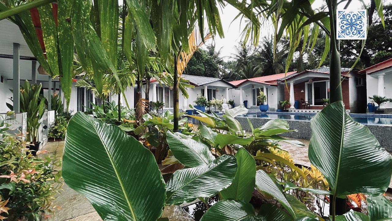 Address of DD Cottages in Mandrem - Cottage in Goa