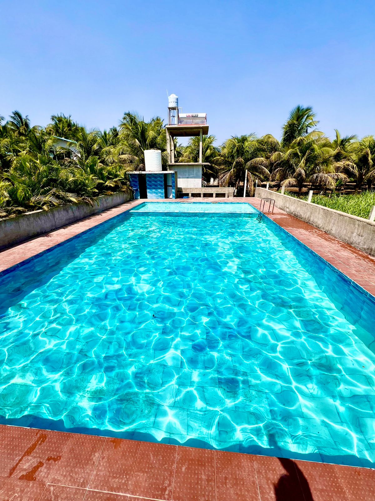 Mahadev Farm 𝗕𝗢𝗢𝗞 Sasan Gir Farm House