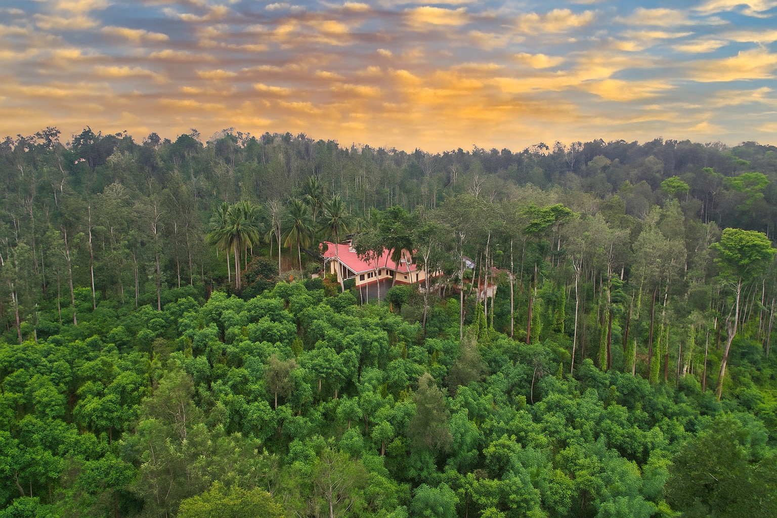 Rooms of The Estate Bay Coorg by Z Vacations - Homestay in Coorg