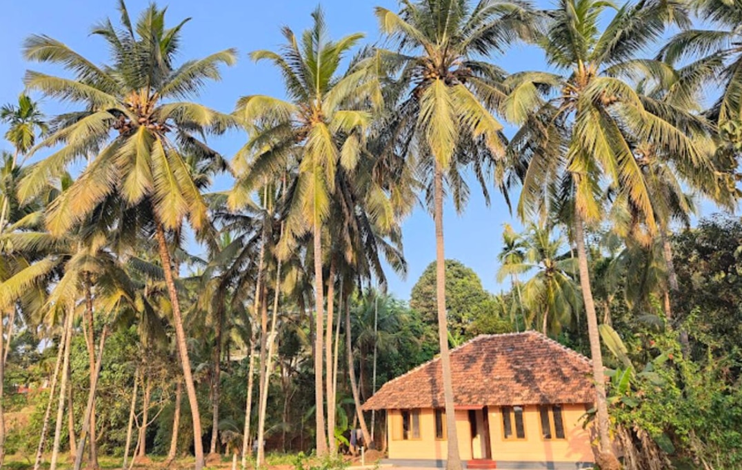 River View Homestay 𝗕𝗢𝗢𝗞 Bekal Homestay