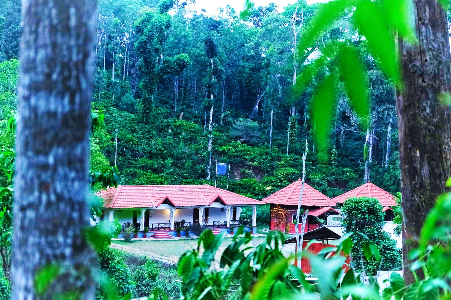 Thedocksideinn 𝗕𝗢𝗢𝗞 Coorg Homestay