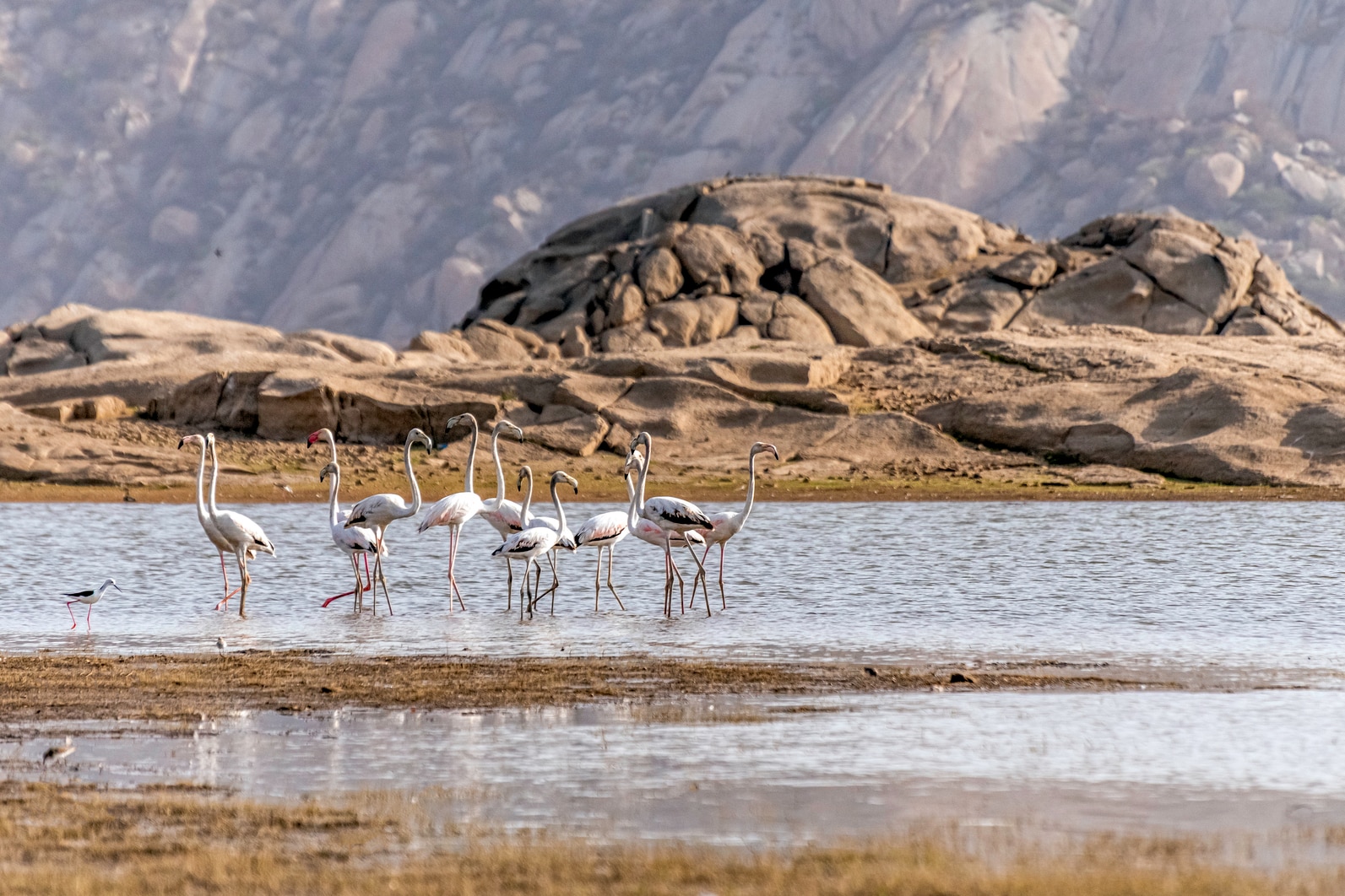 Lord's Eco Inn Jawai-Sumerpur 𝗕𝗢𝗢𝗞 Sumerpur Hotel