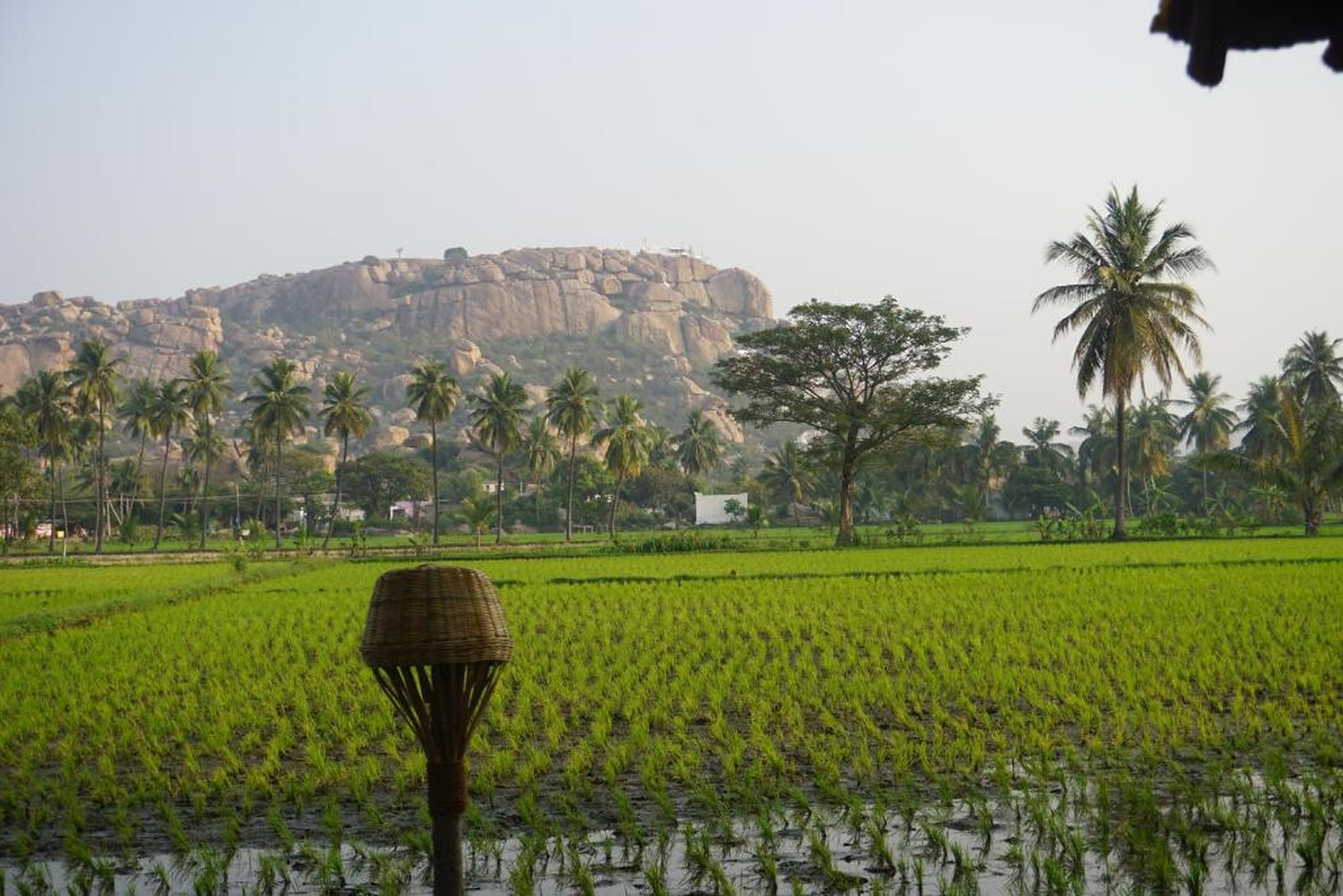 Wander lust hampi, Hampi 𝗕𝗢𝗢𝗞 Hampi Homestay