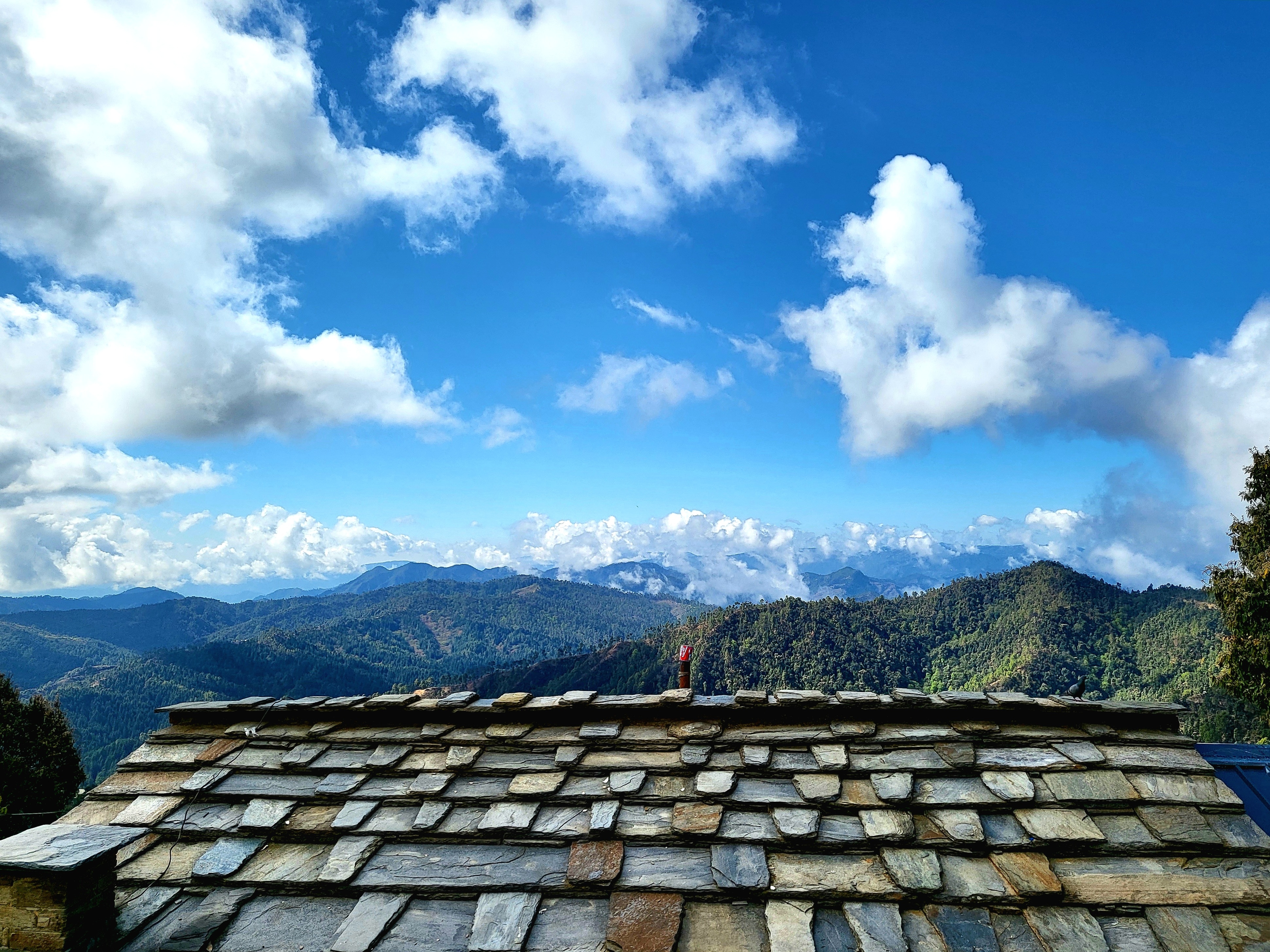 Kot Kailash Kumaon 𝗕𝗢𝗢𝗞 Almora Homestay