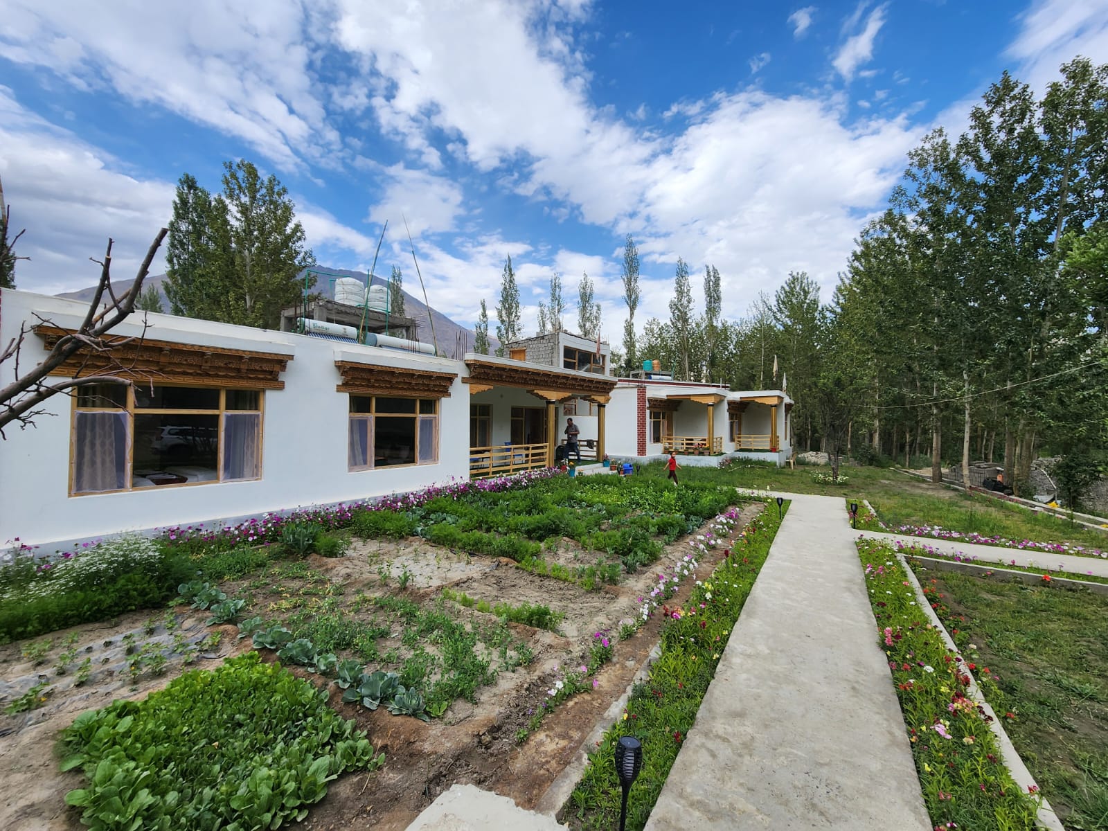 Skarchan Guest House Hunder Nubra Valley - Reviews, Photos & Offer