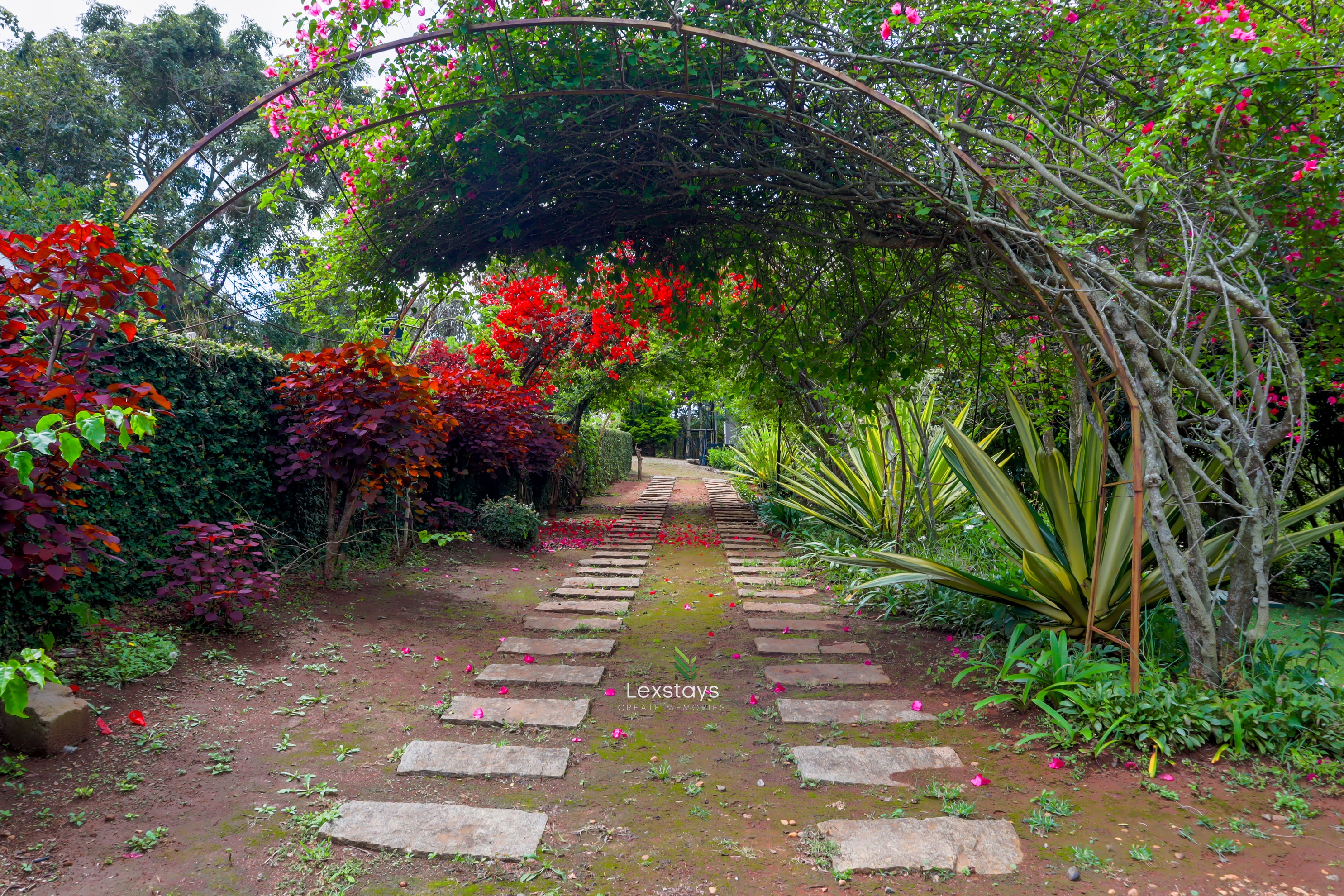 42 Green pastures tea Estate Experience By LexStays 𝗕𝗢𝗢𝗞 Coonoor Cottage